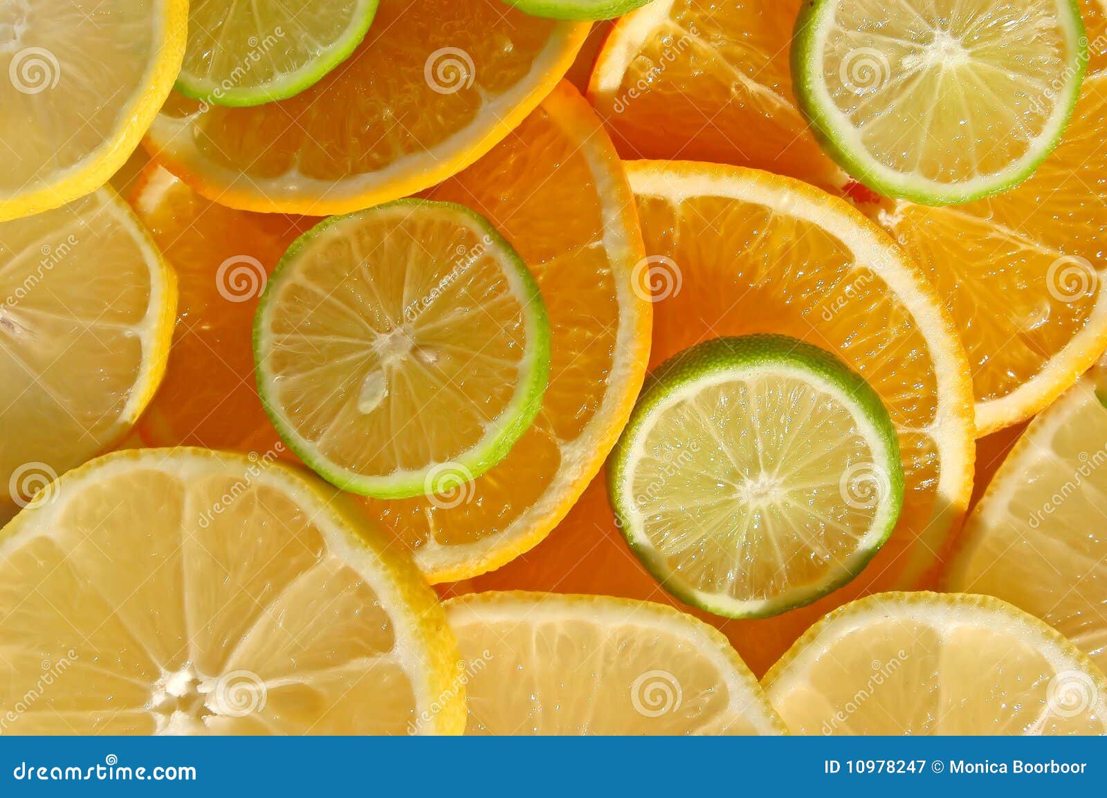 Citris slices stock image. Image of tasty, lemons, oranges - 10978247