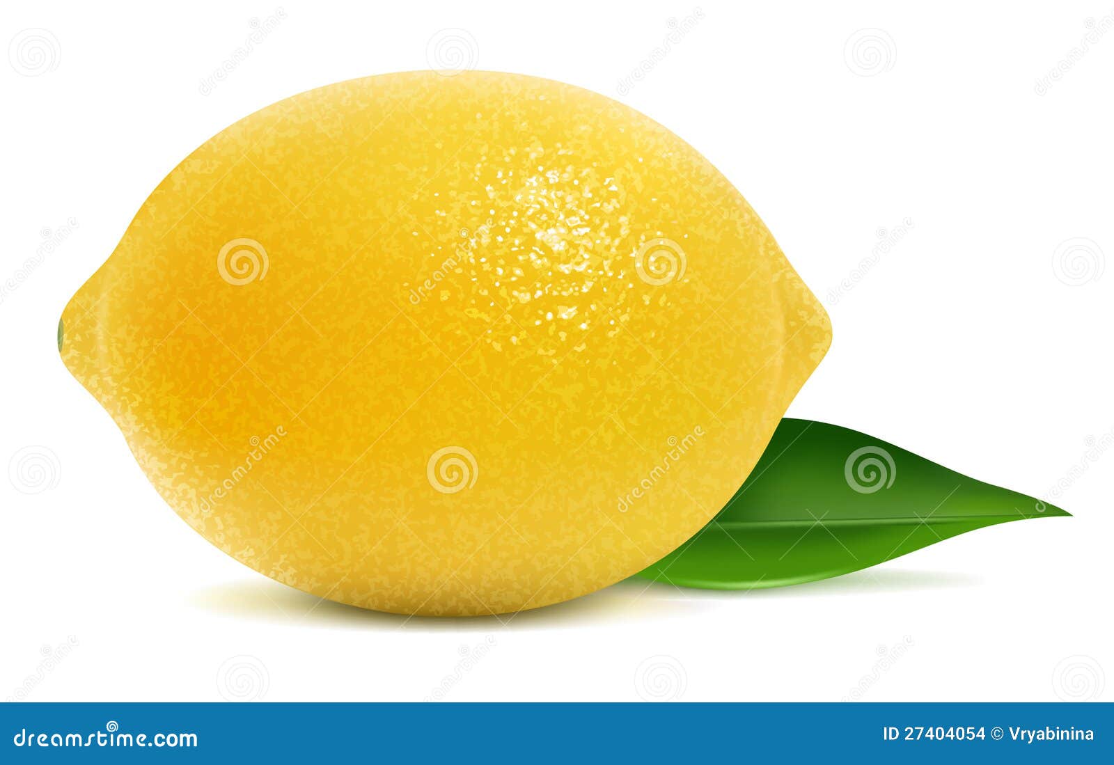 Citron illustration de vecteur. Illustration du frais - 27404054