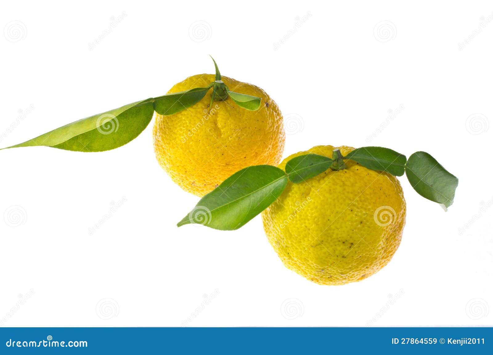 Citron stock image. Image of healthy, citric, exotic - 27864559