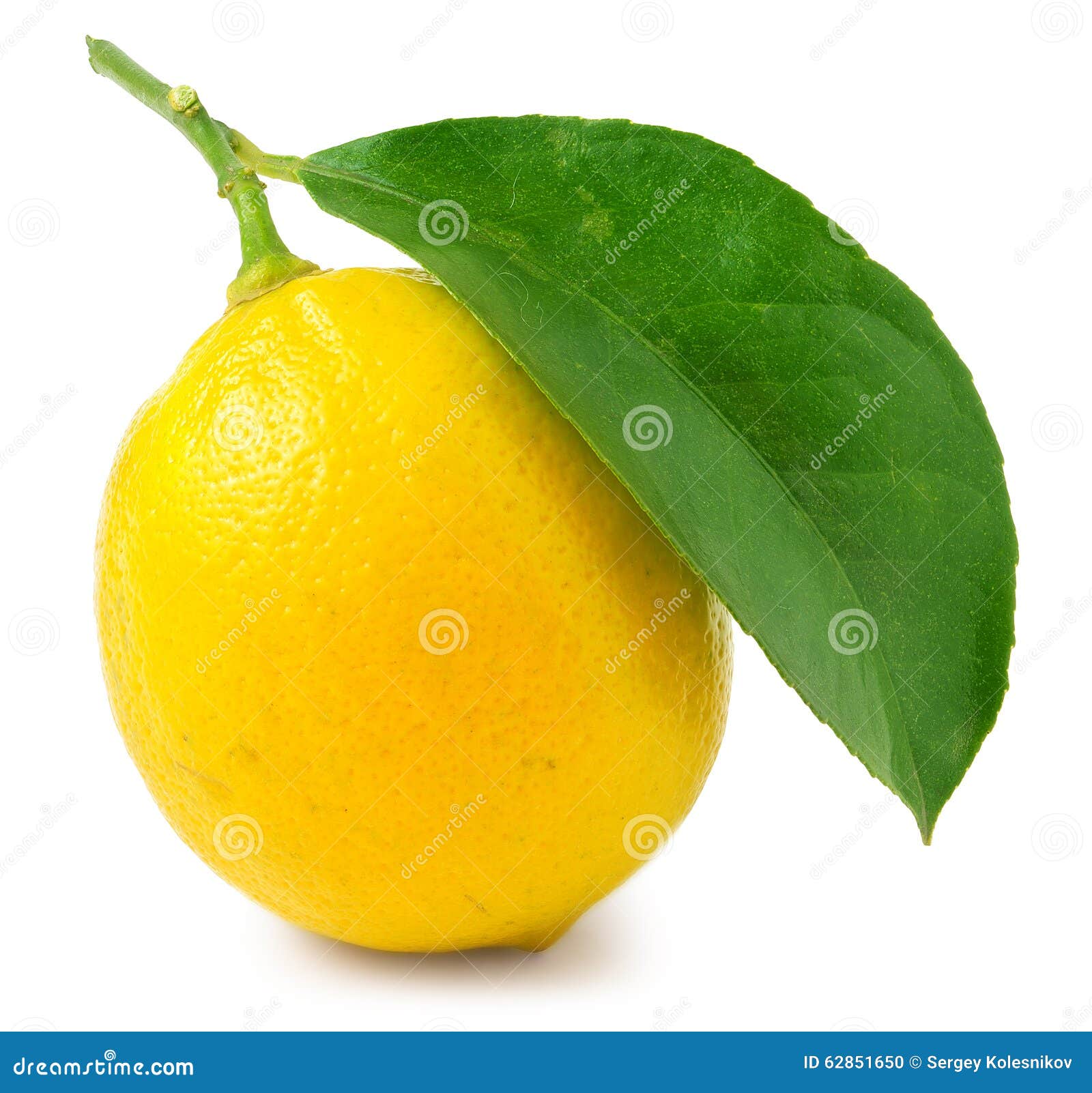 Citron Avec La Feuille D'isolement Sur Le Blanc Photo stock - Image du ...
