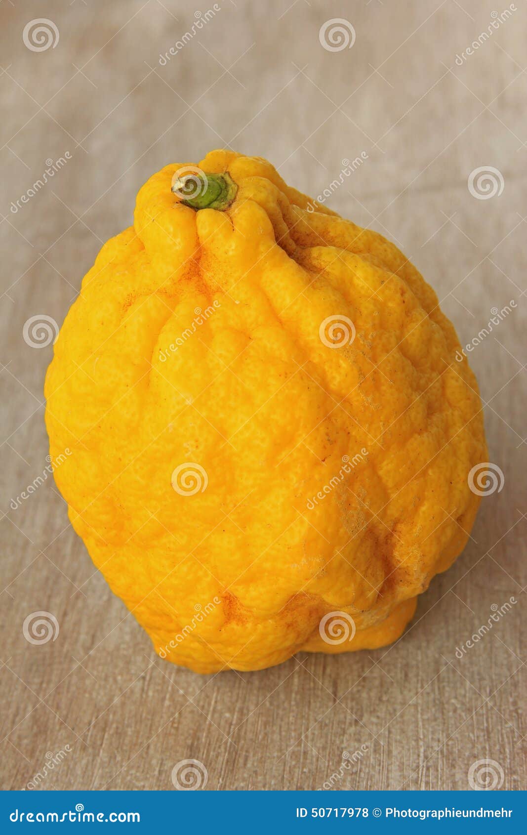 Citron (Citrus medica) stock photo. Image of citron, plant - 50717978