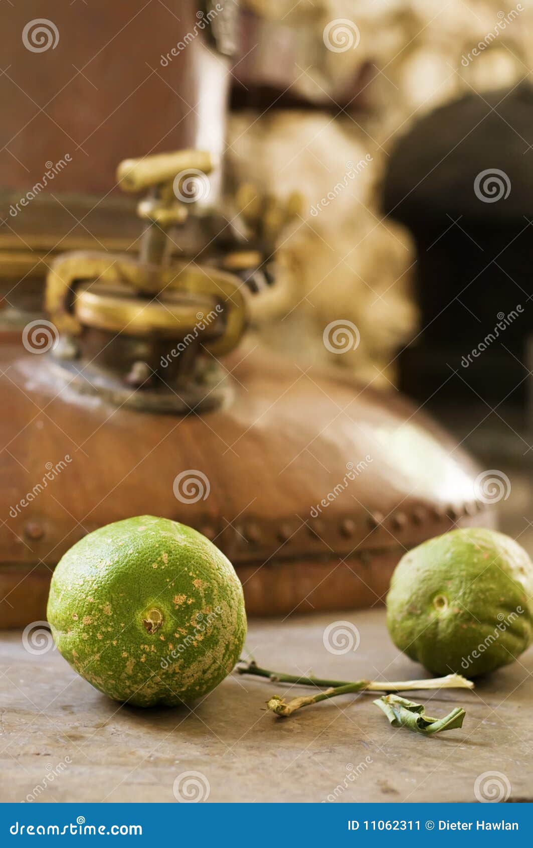Citron Distillery stock image. Image of fermenting, still - 11062311