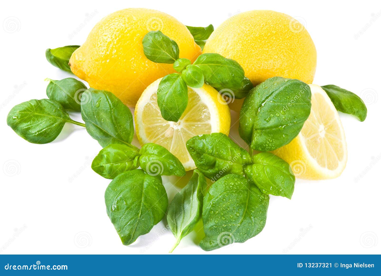 Citron et basilic image stock. Image of blanc, herbe - 13237321