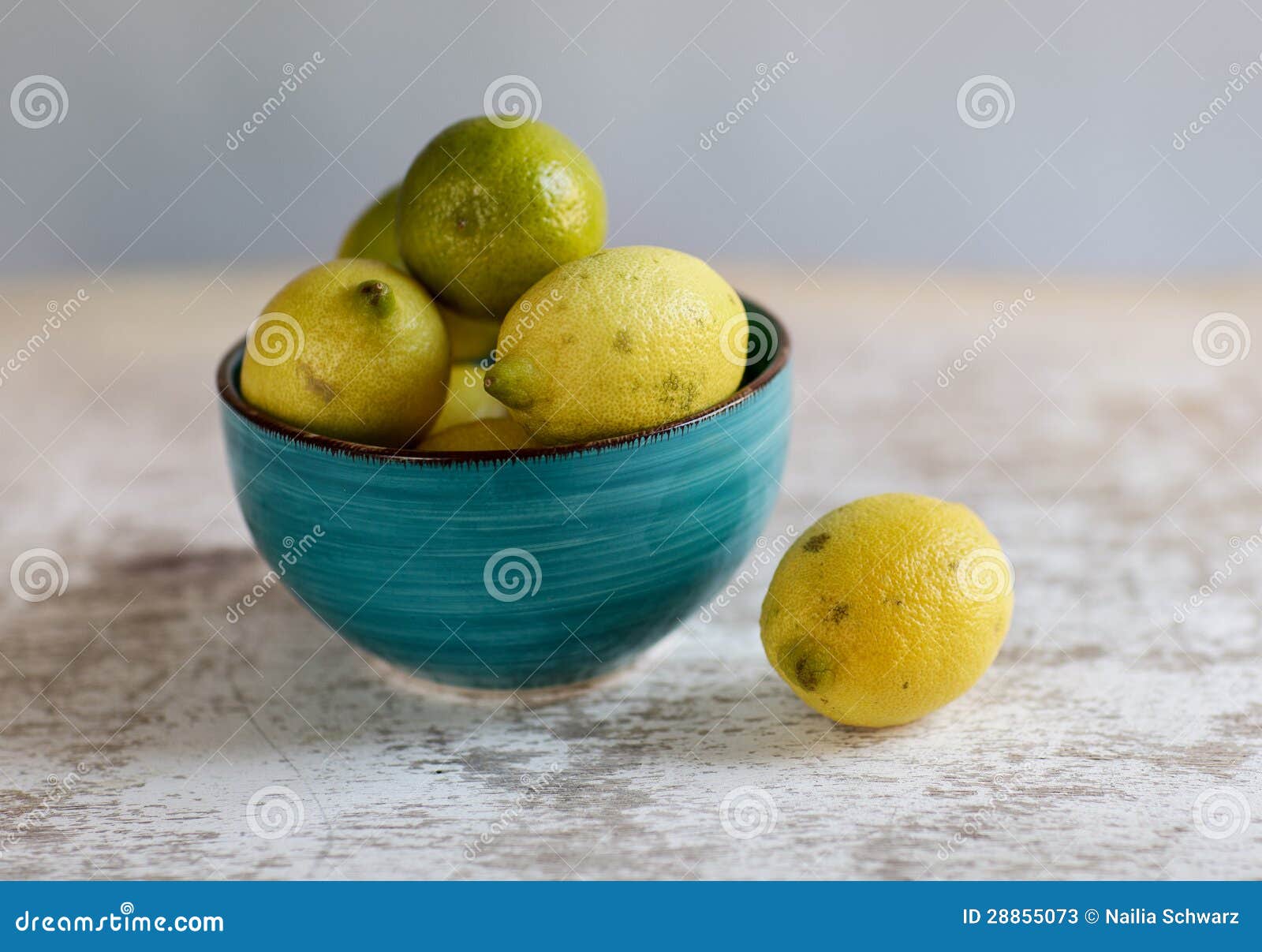 Citron and Lime stock image. Image of limefruit, grunge - 28855073