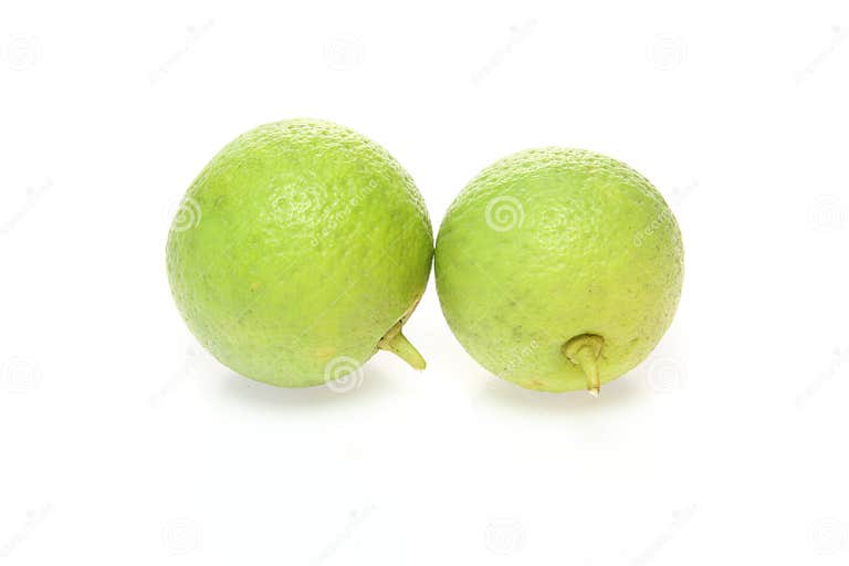 Citron stock image. Image of citron, nature, isolated - 79174139