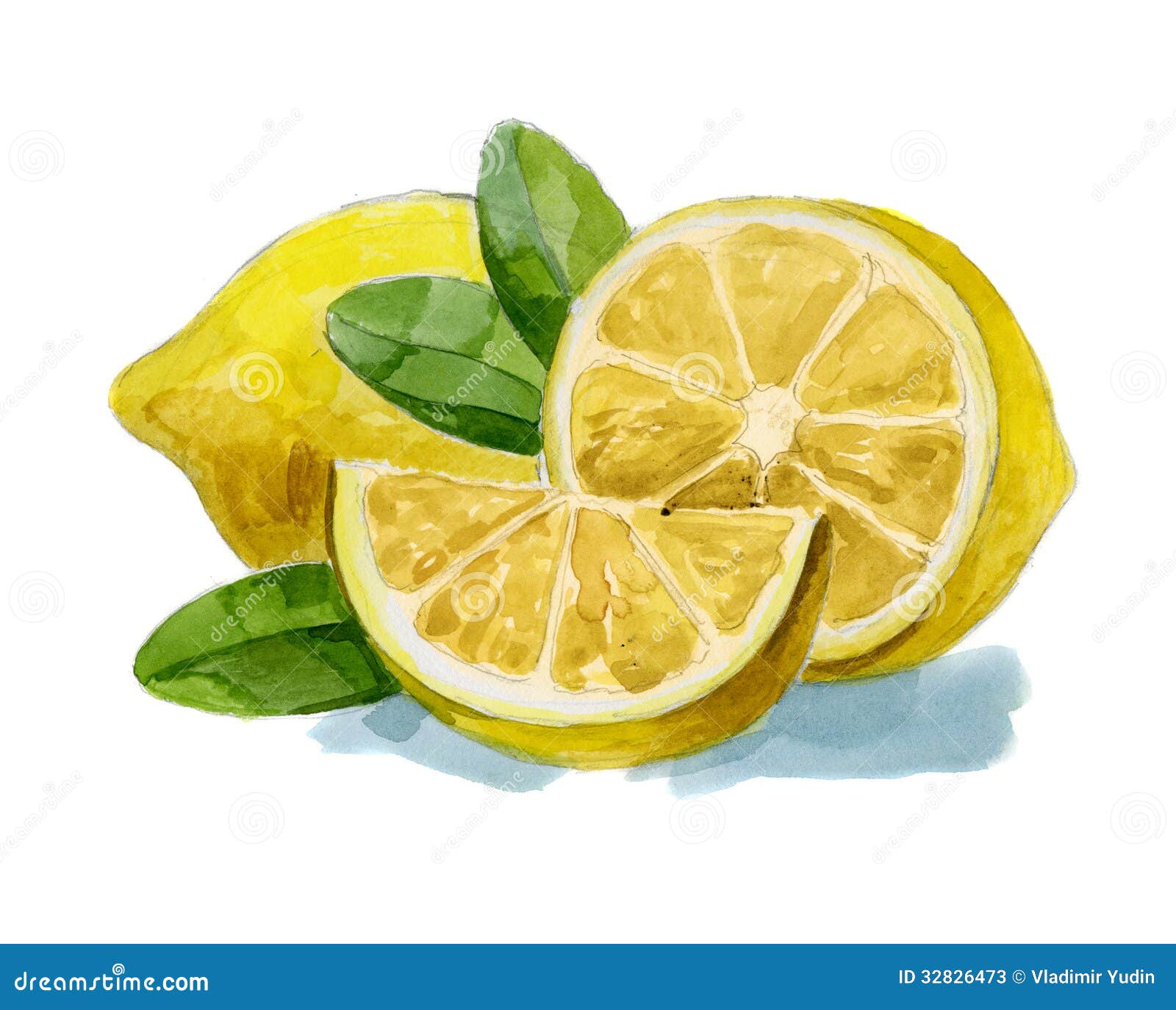 Citron Tiré Par La Main D'aquarelle Illustration Stock - Illustration ...