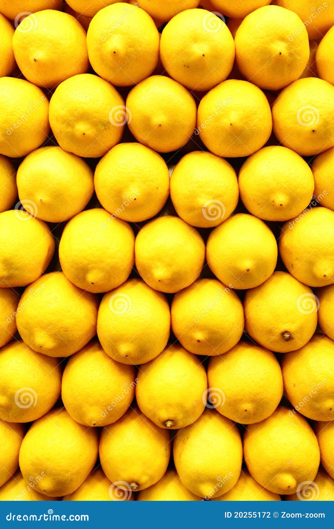 Citroner arkivfoto. Bild av organiskt, anticyclonic, stängning - 20255172