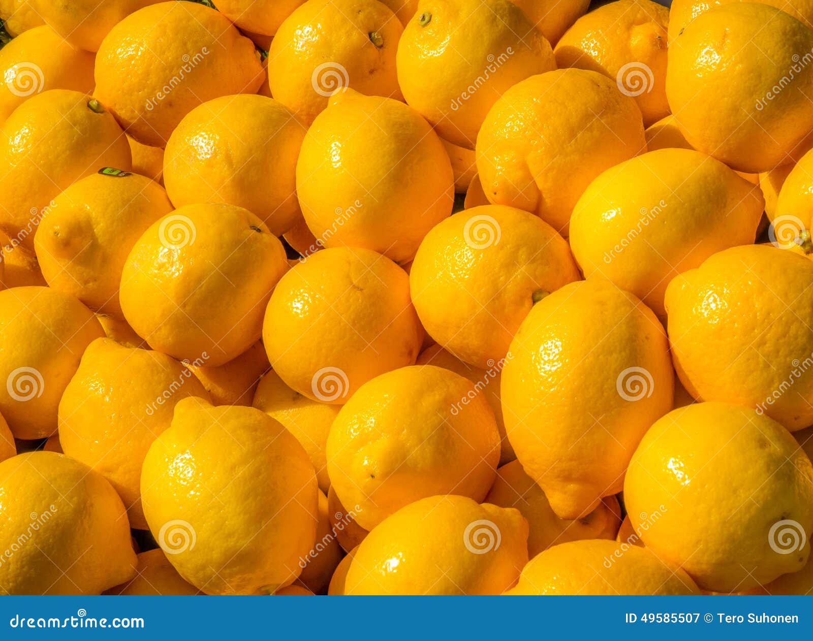 Citrons stock image. Image of market, citrus, pile, juicy - 49585507