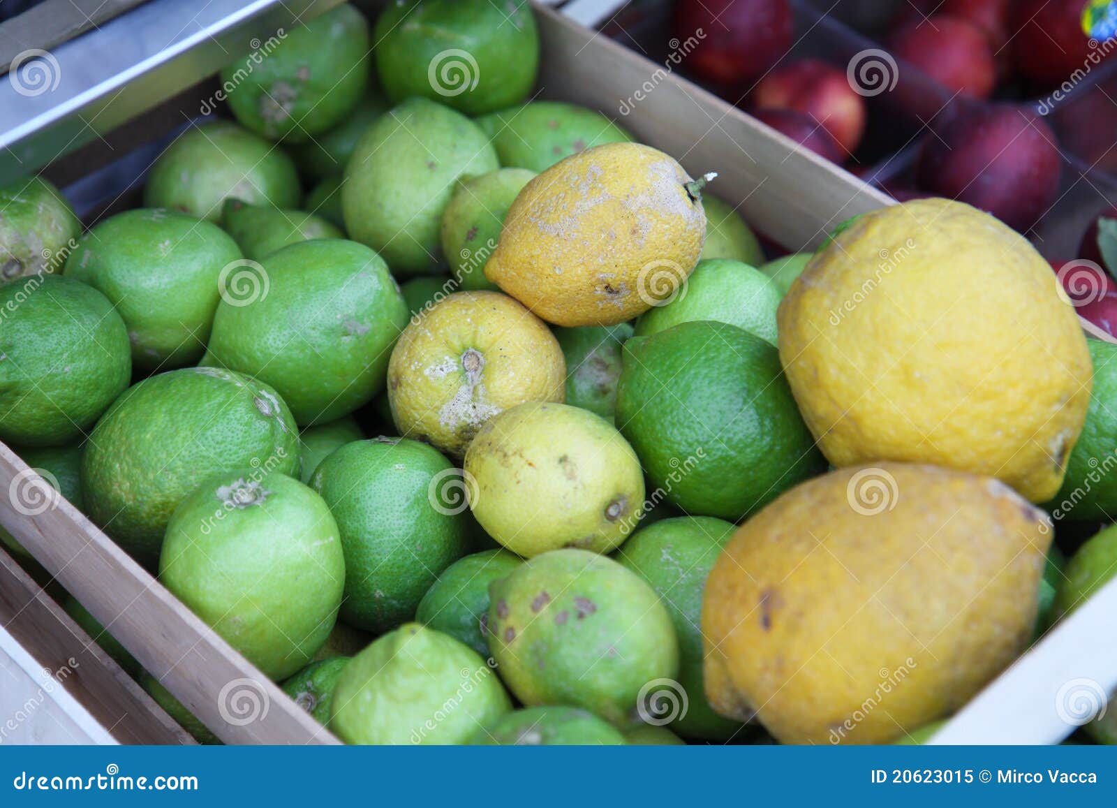 Citrons and lemons stock image. Image of yellow, market - 20623015