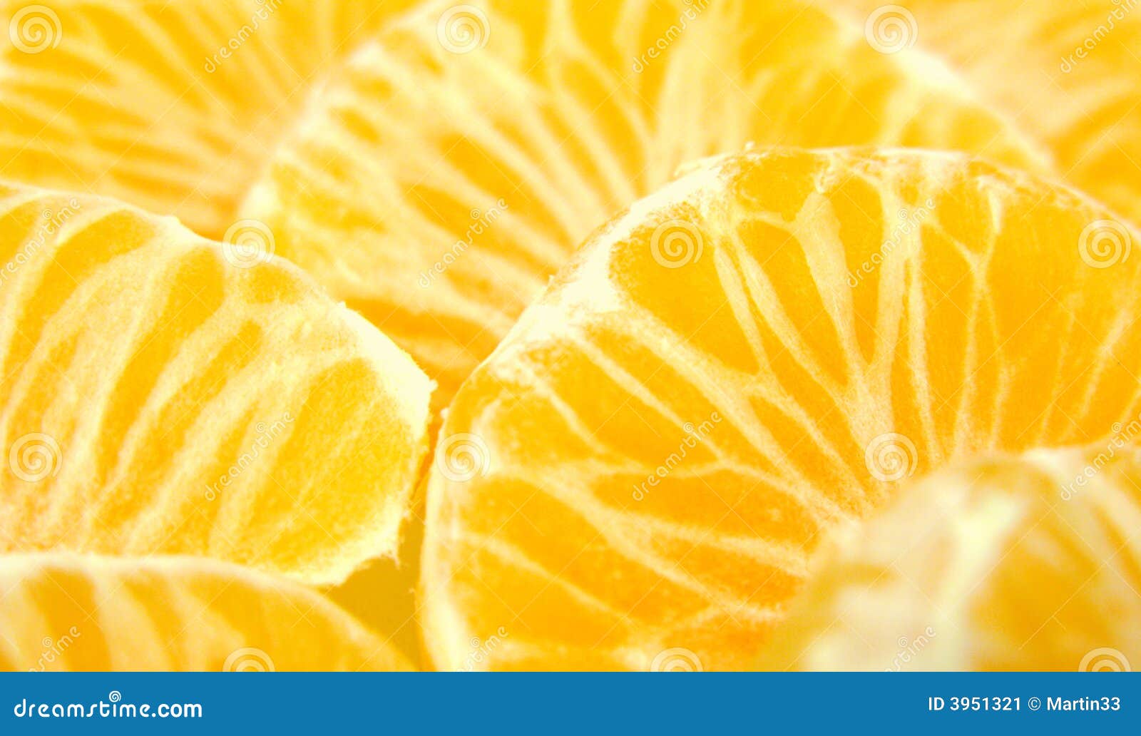Citrous slices stock image. Image of structure, background - 3951321