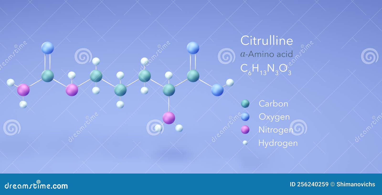 Citrulline C6H13N3O3, Alpha Amino Acid Molecule. Structural Chemical ...