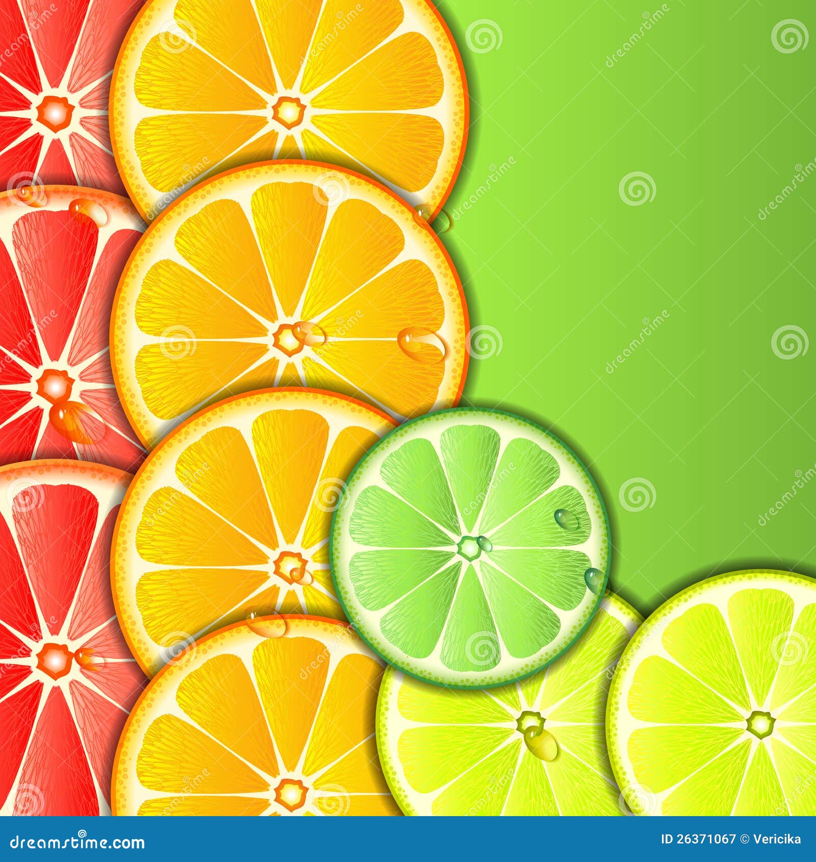 Citrus background stock vector. Illustration of natural - 26371067