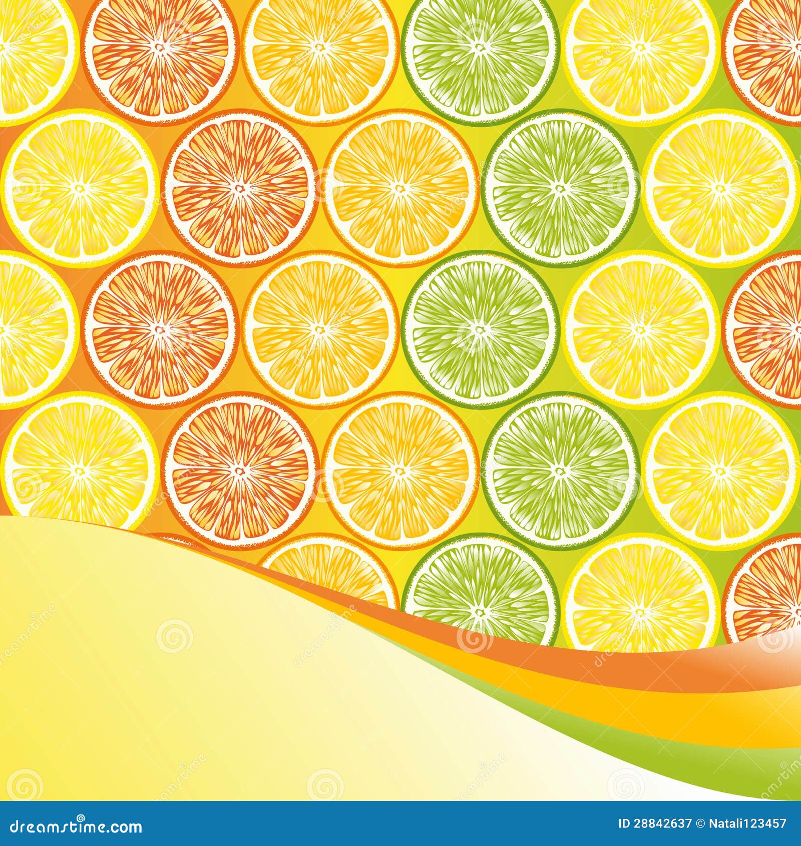 Red Citrus Background Of Cut Fresh Juicy Grapefruit Rings In Row Next ...