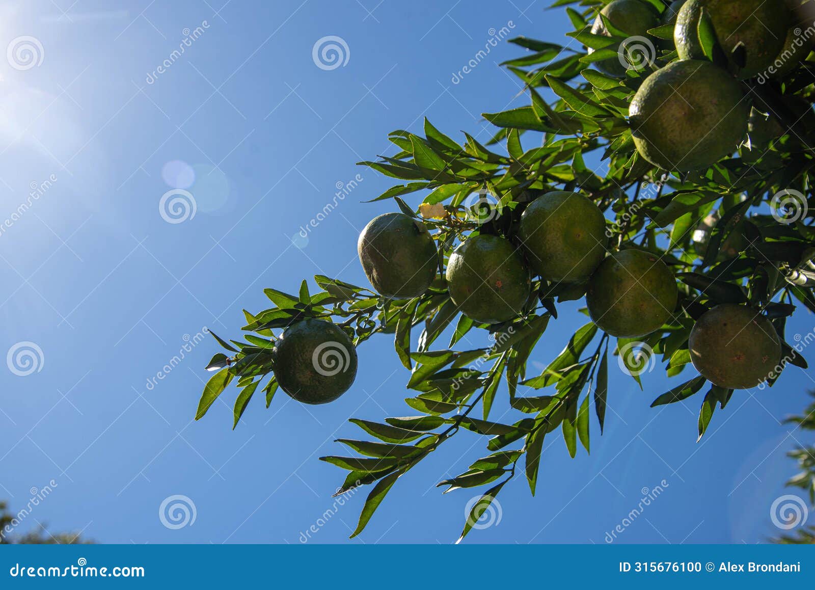 Classic Architecture. Ancient Architecture Stock Photo - Image of ...