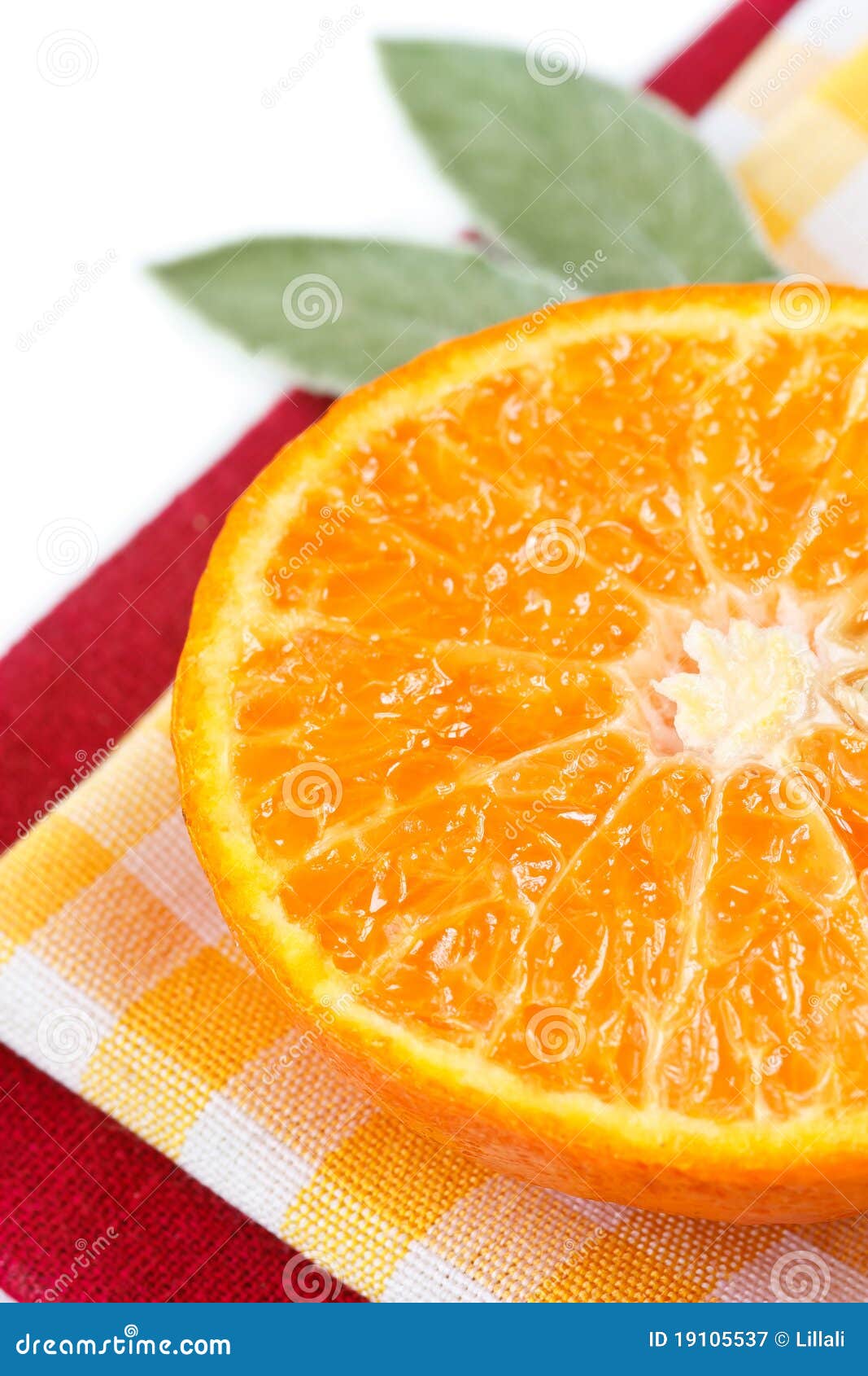 Citrus close-up. stock image. Image of tropical, white - 19105537