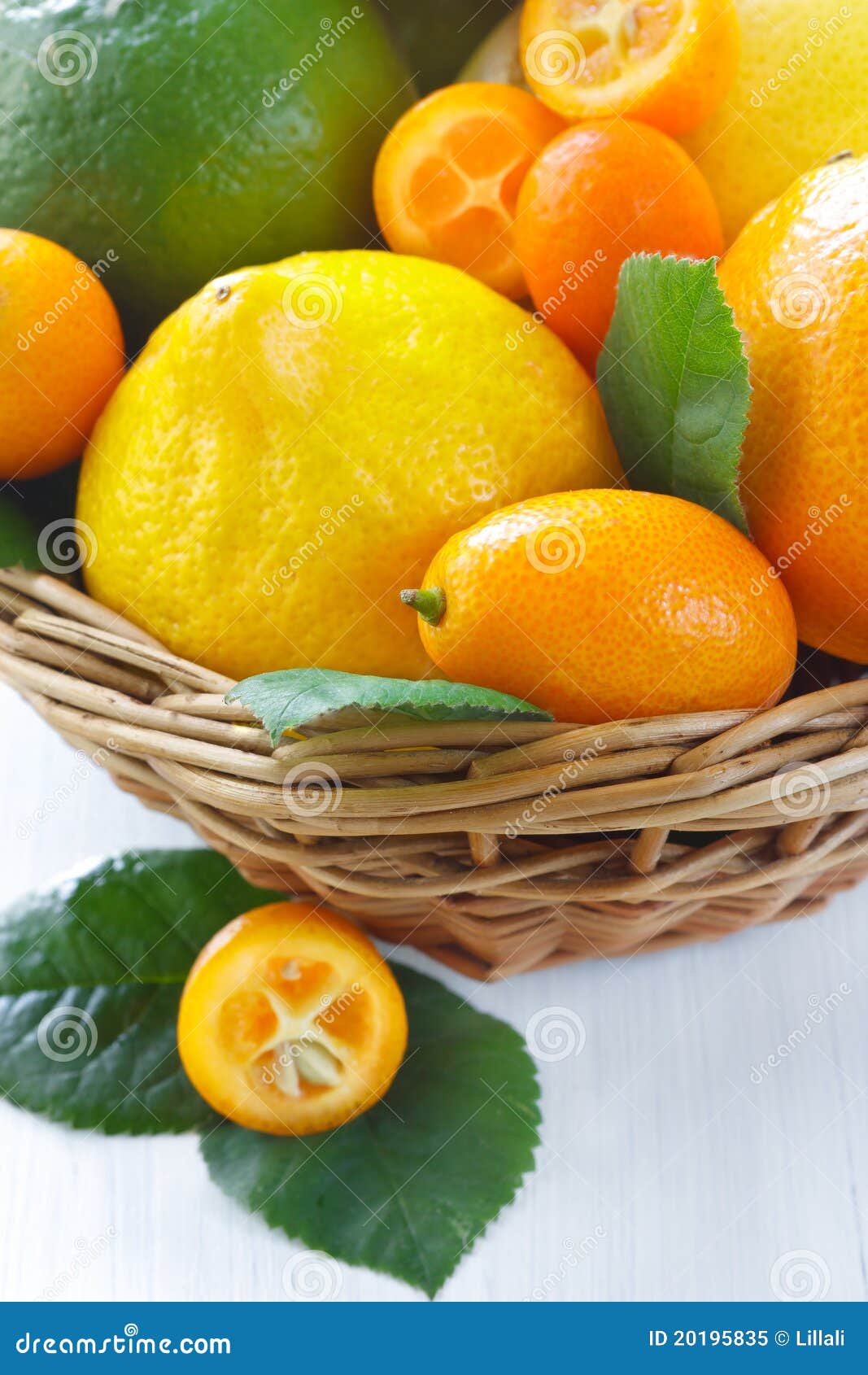 Citrus close-up. stock image. Image of diet, food, exotic - 20195835