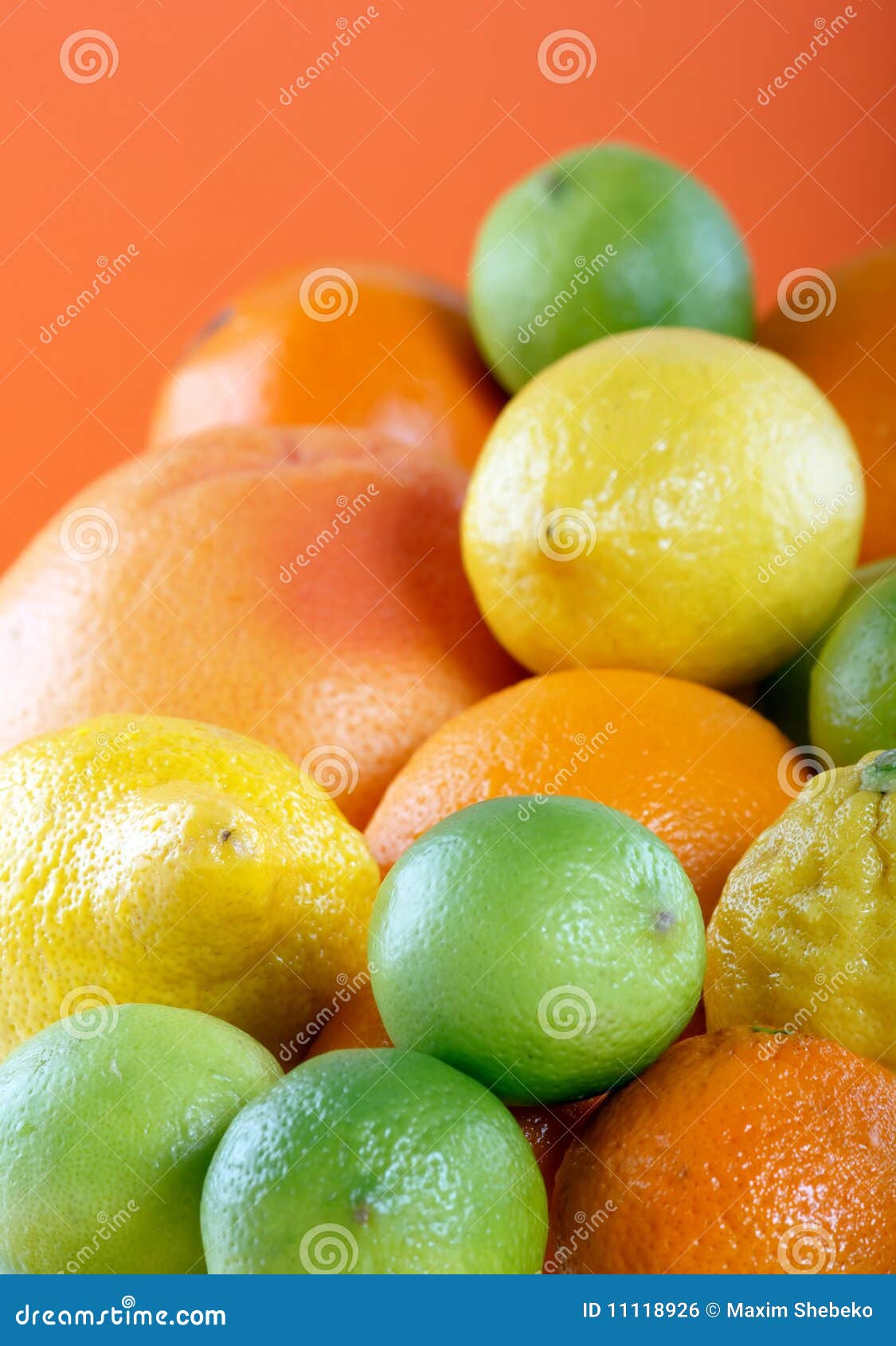 Citrus collection stock photo. Image of dessert, pomelo - 11118926