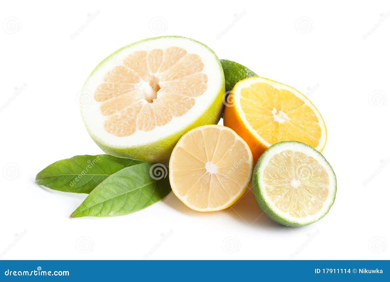 Citrus collection stock photo. Image of slice, juice - 17911114