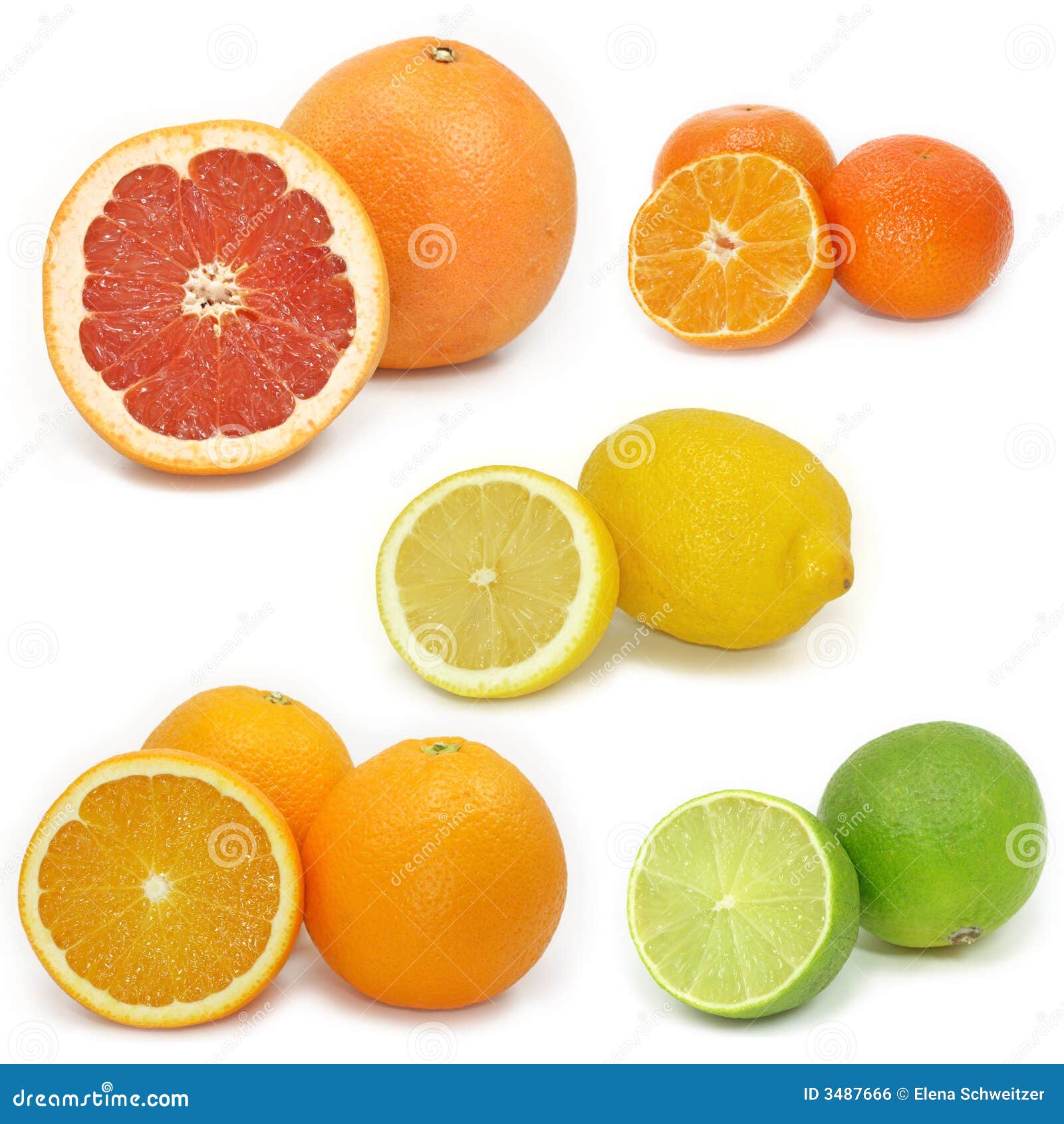 The citrus collection stock photo. Image of segment, green - 3487666