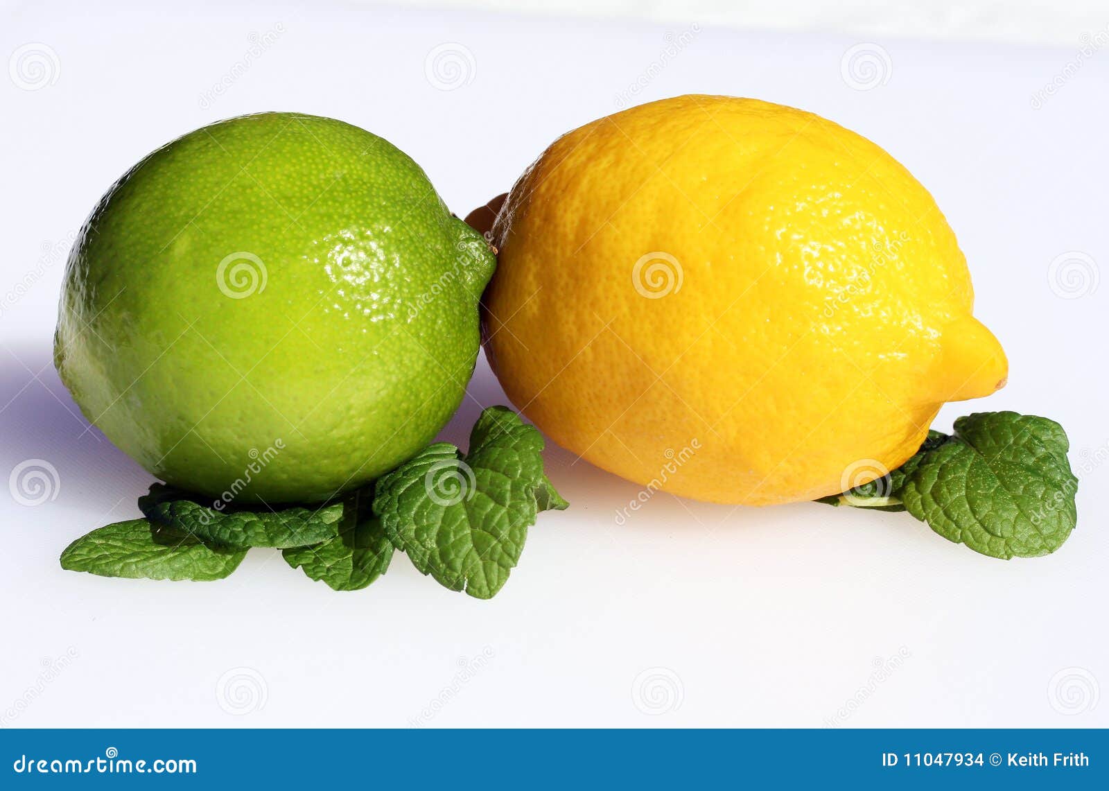 Citrus combination. stock photo. Image of food, organic - 11047934