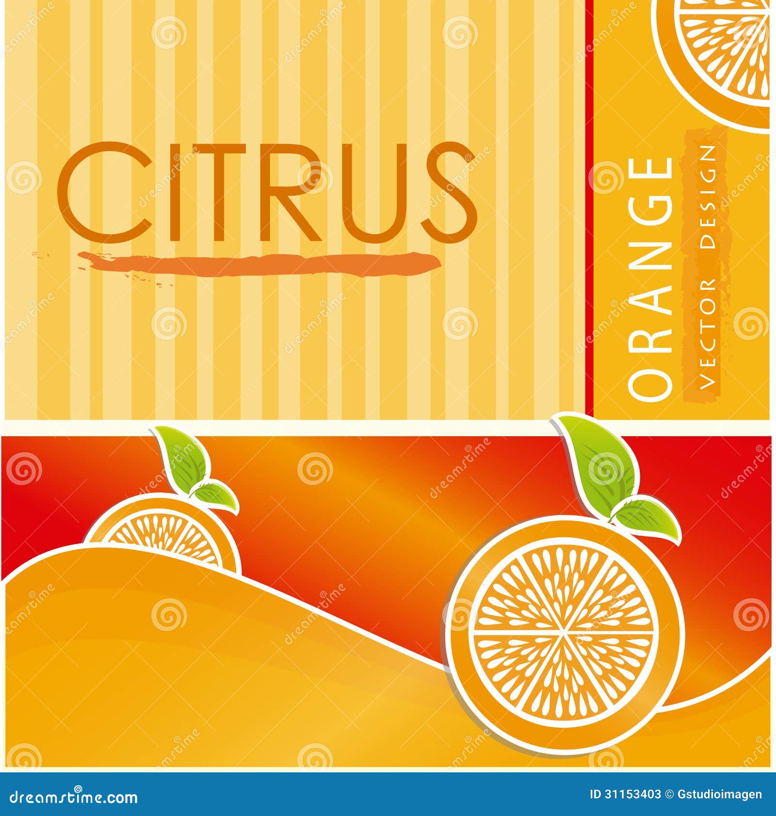 Citrus design stock vector. Illustration of fresh, healthy - 31153403