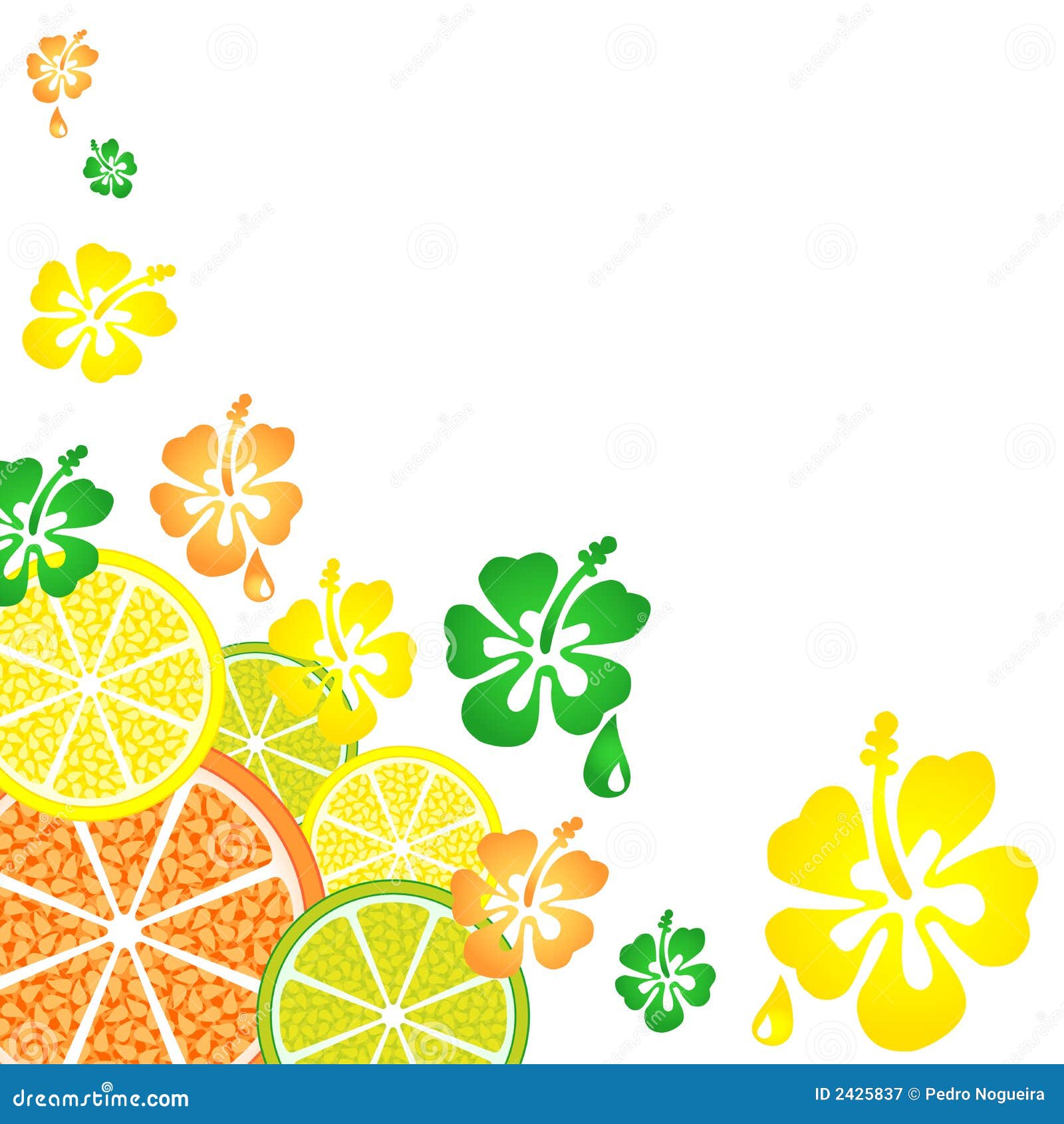Citrus_and_flowers_pattern stock de ilustración. Ilustración de jugo ...
