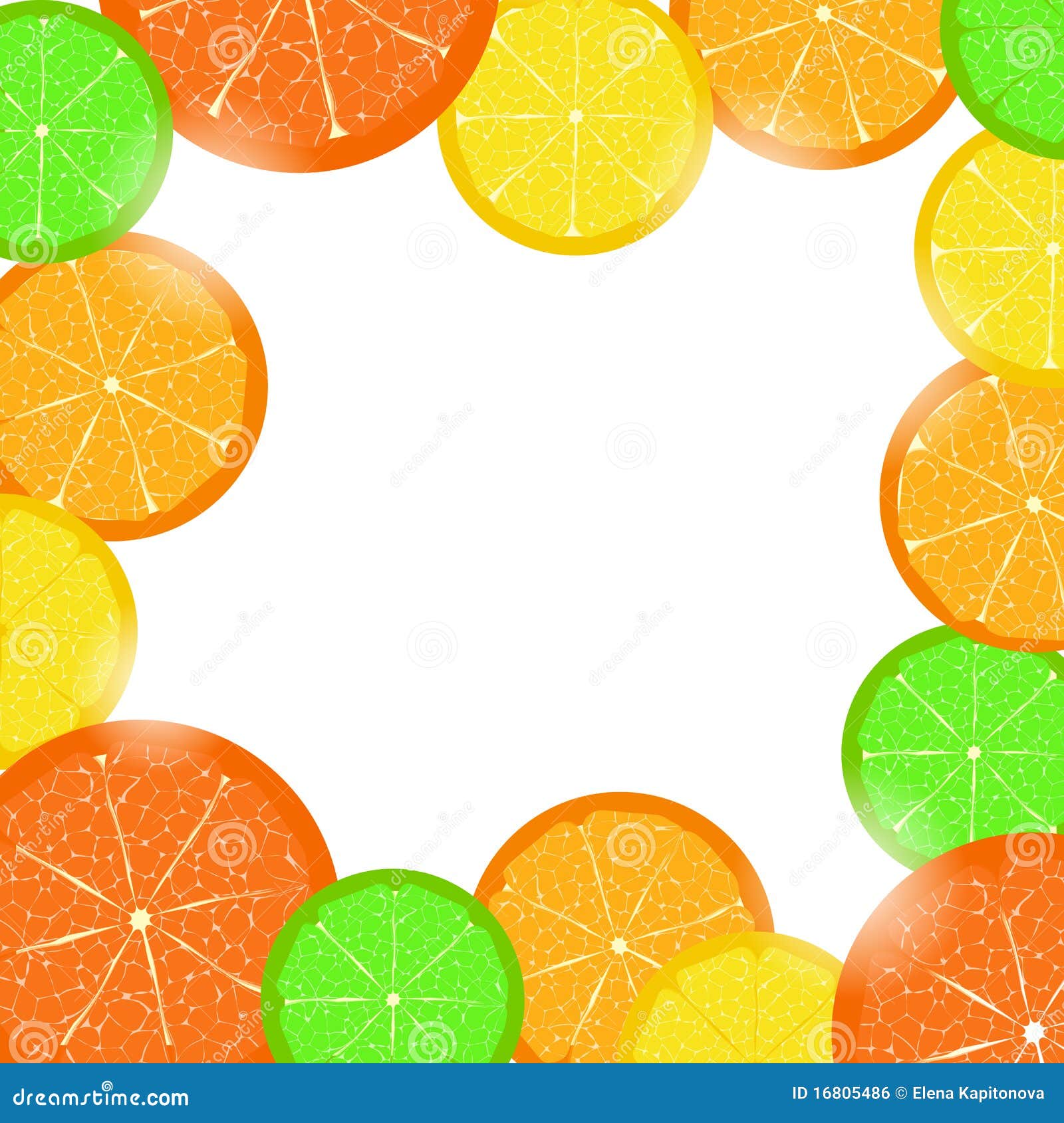 Citrus frame stock vector. Illustration of sweet, citrus - 16805486