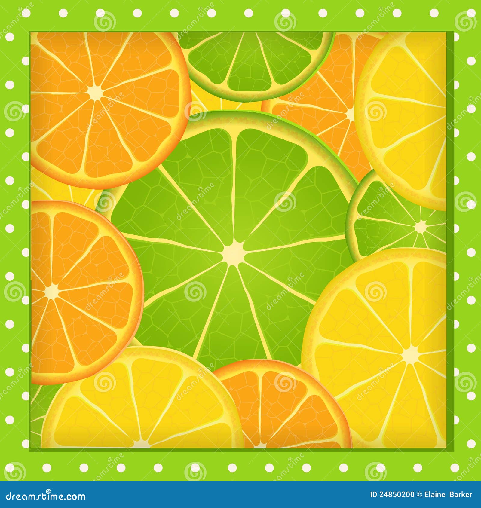 Citrus frame stock vector. Illustration of rind, lemon - 24850200