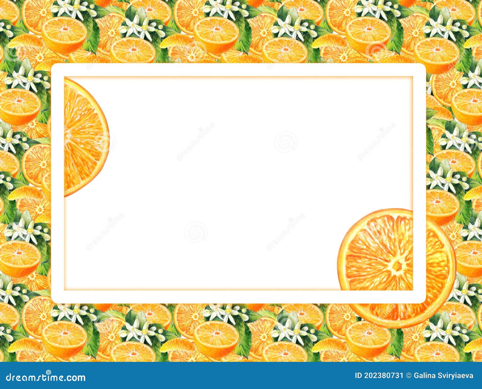 Citrus Frame Illustration Art, Orange Hand Drawn Design Stock ...