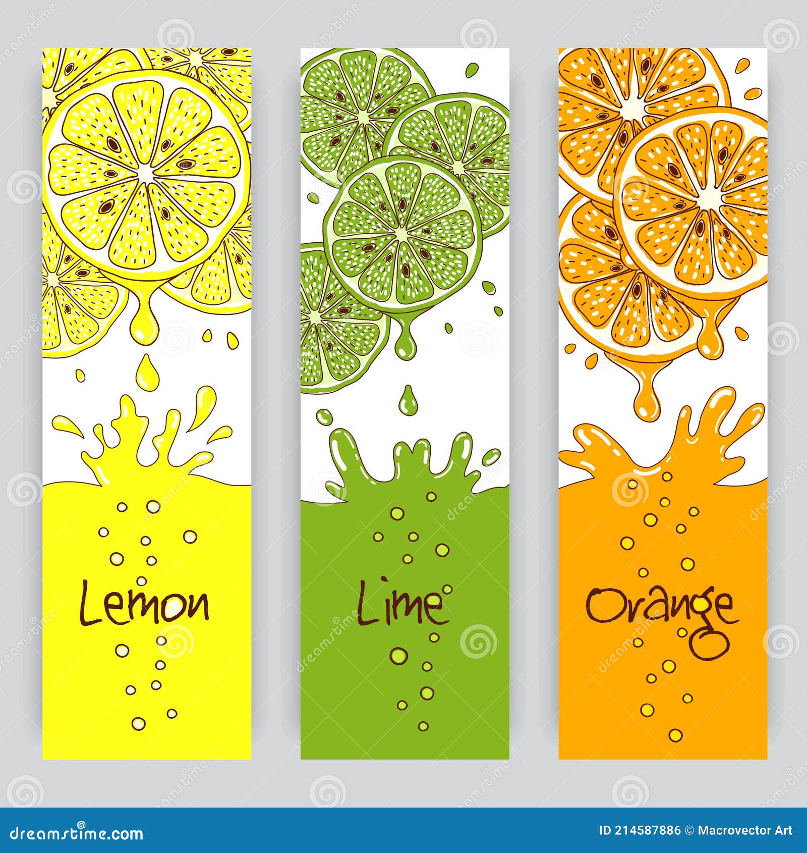 Citrus Fruit Banners Design Vector Illustration Stock Vector ...
