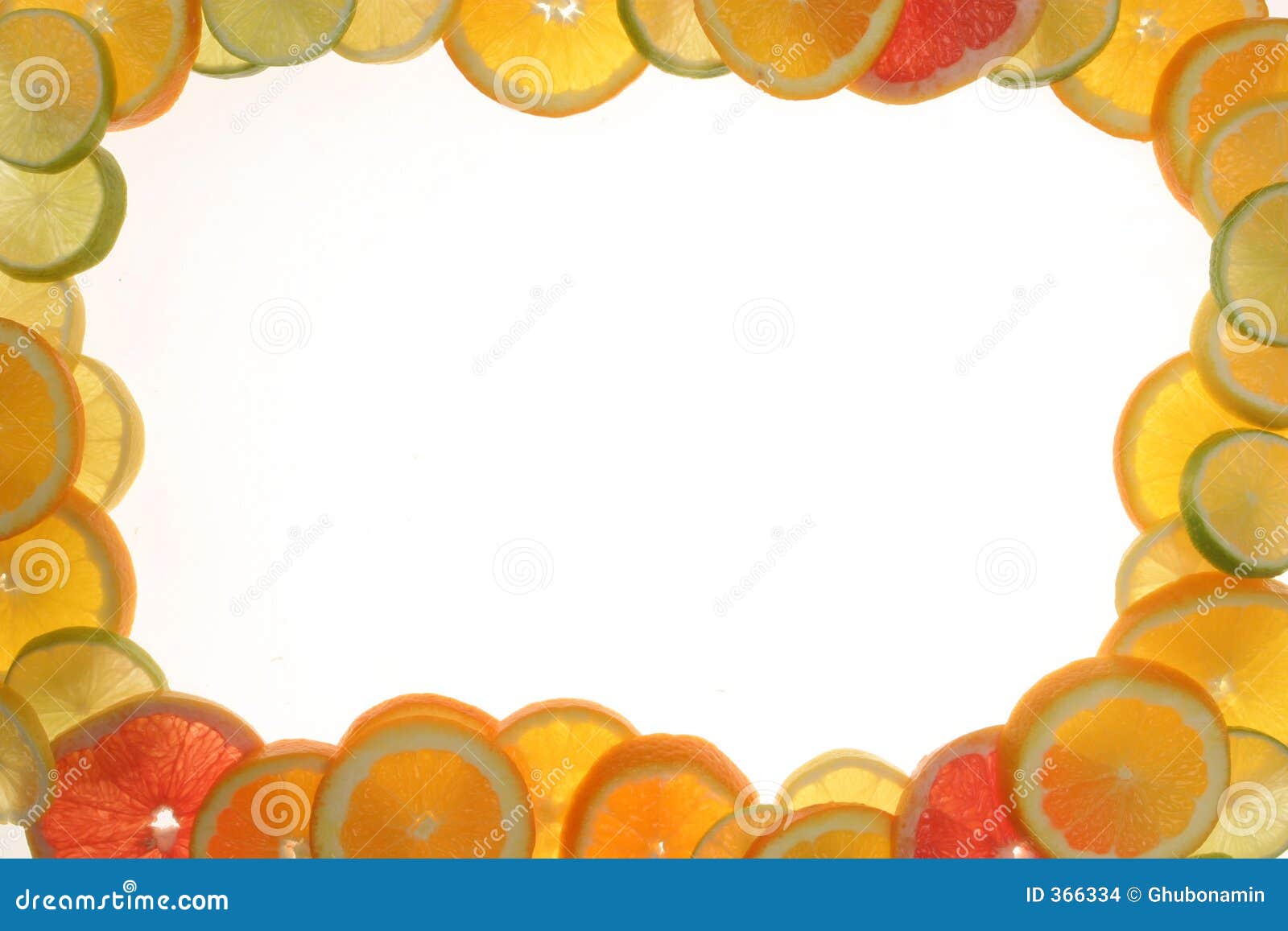 Citrus fruit border stock photo. Image of mouth, details - 366334
