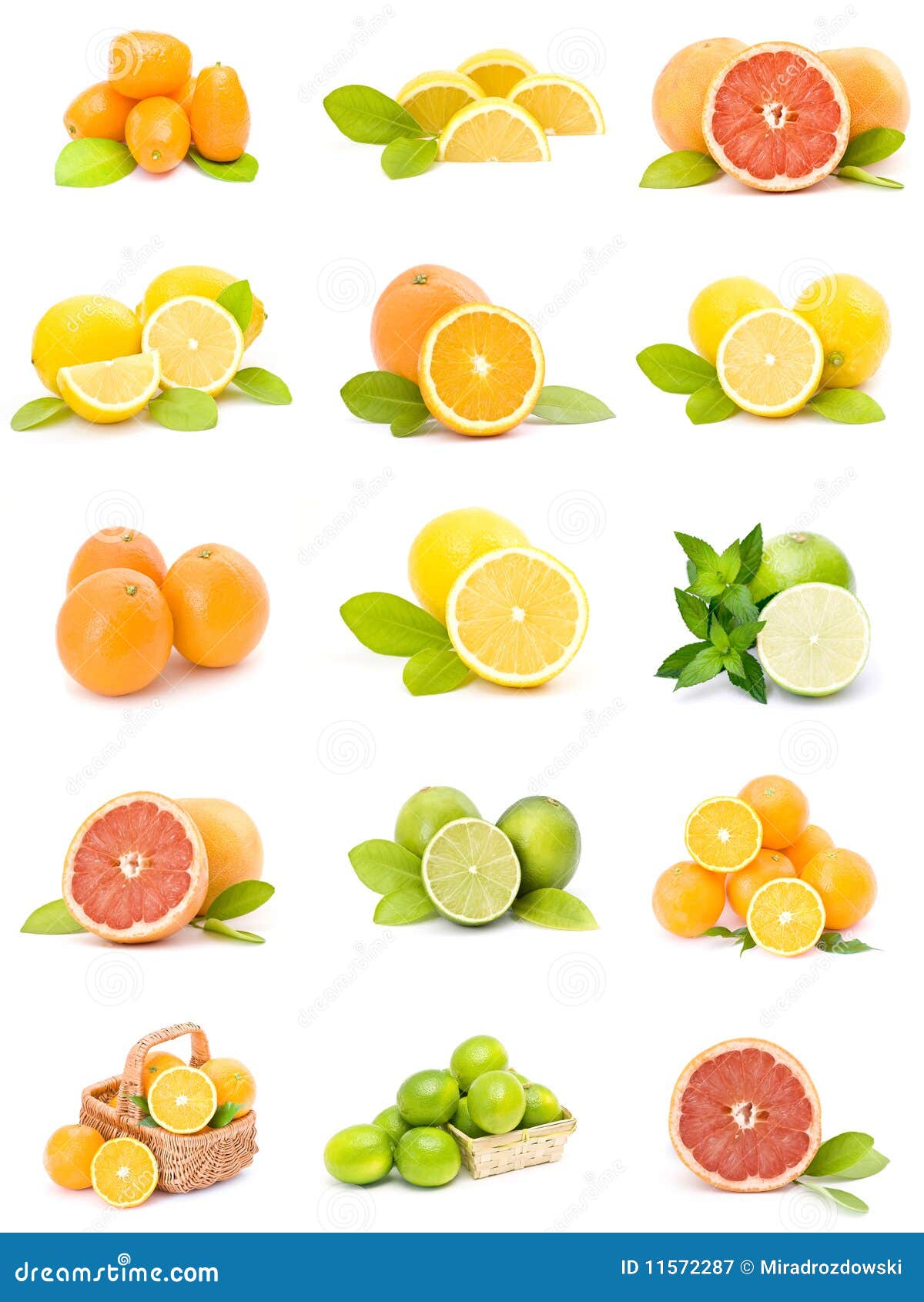 Citrus fruit collection stock image. Image of vitamin - 11572287