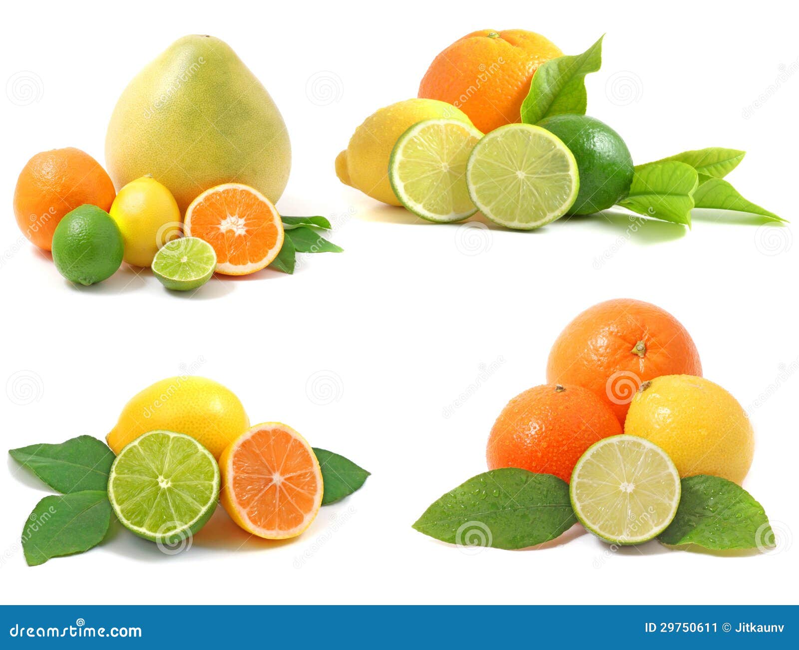 Citrus fruit collection stock image. Image of collection - 29750611