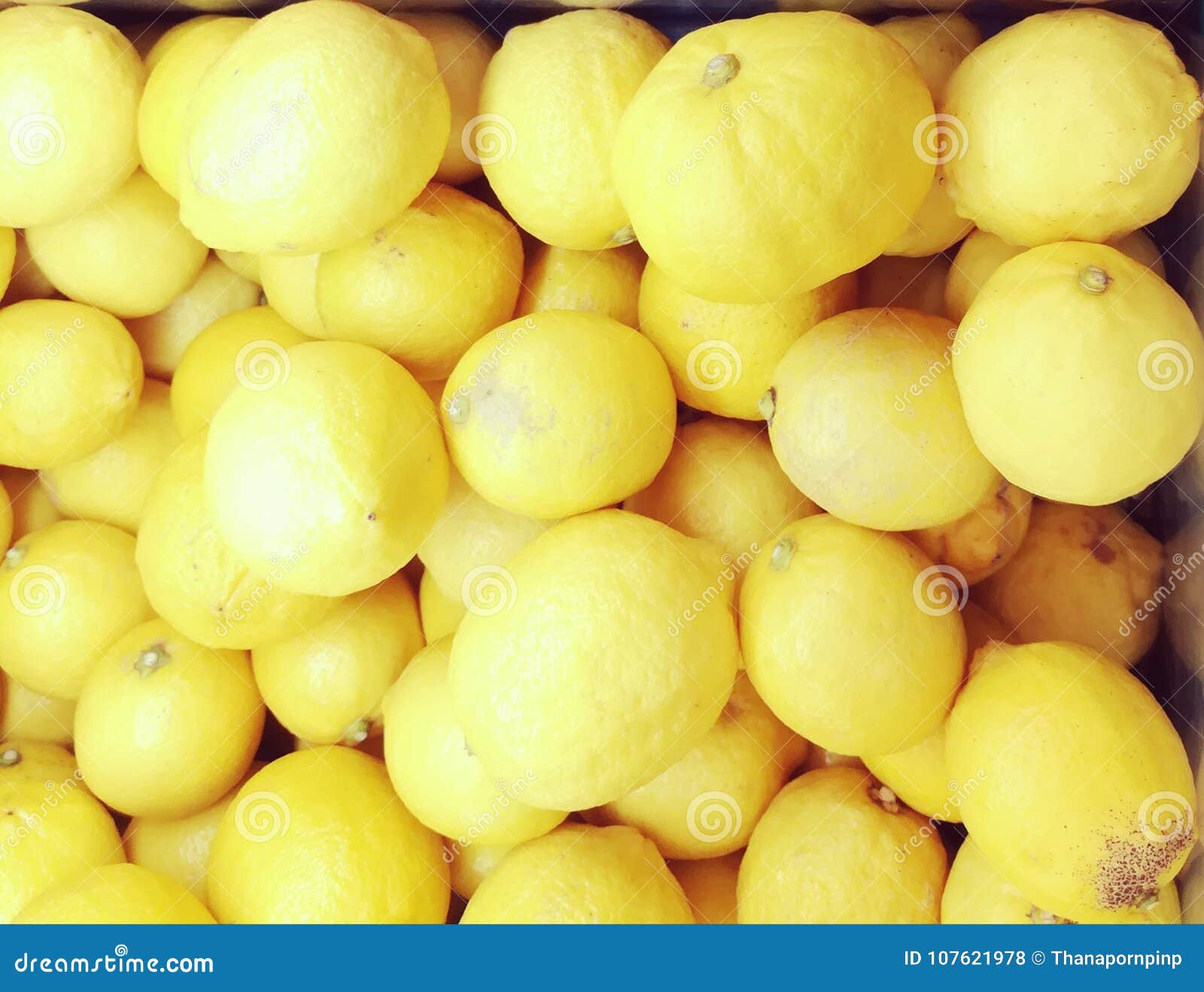 Citrus Fruit, Lemon Under the Light. Stock Photo - Image of food, group ...