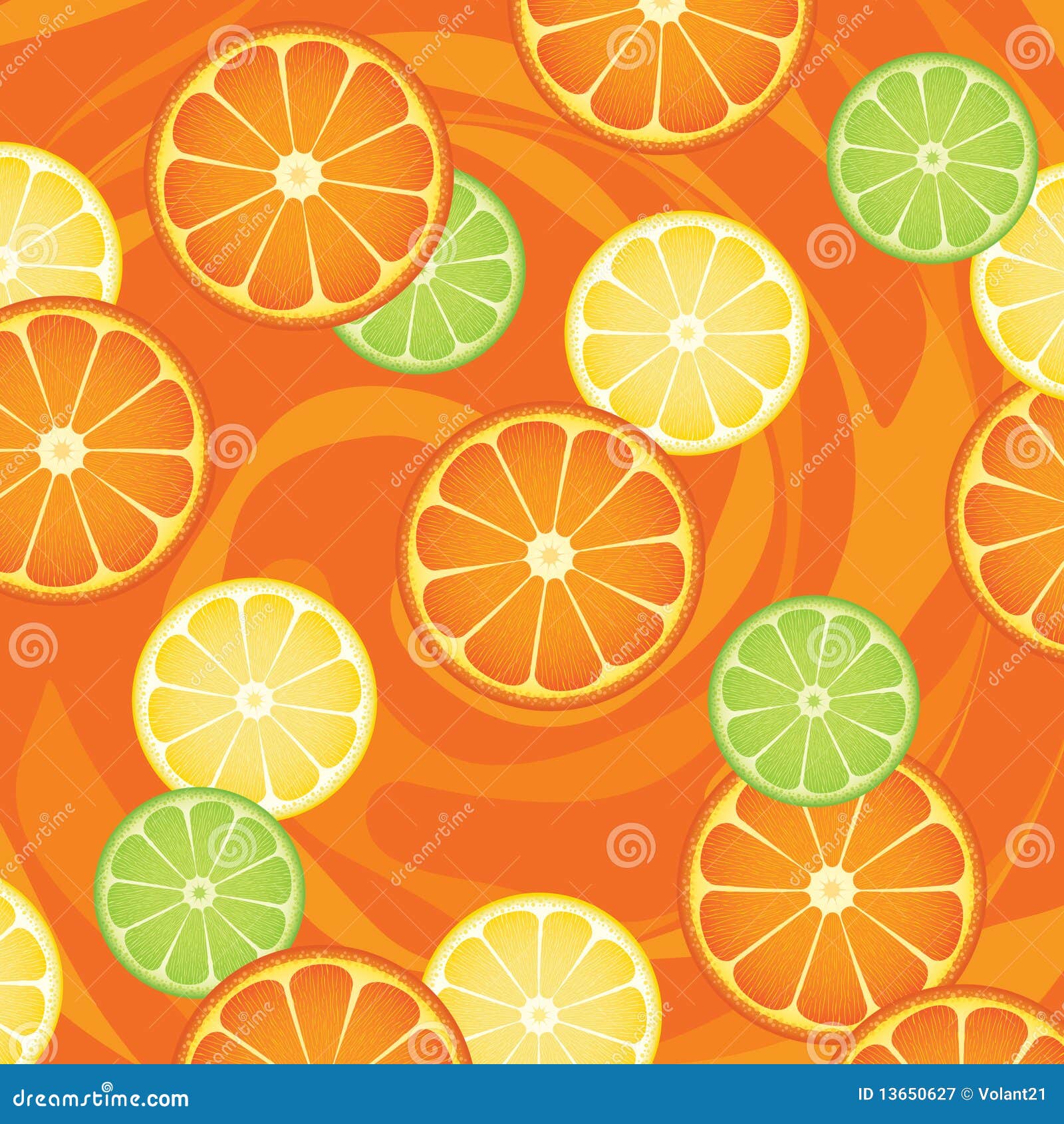 Citrus Fruit Texture. Cartoon Vector | CartoonDealer.com #64085675