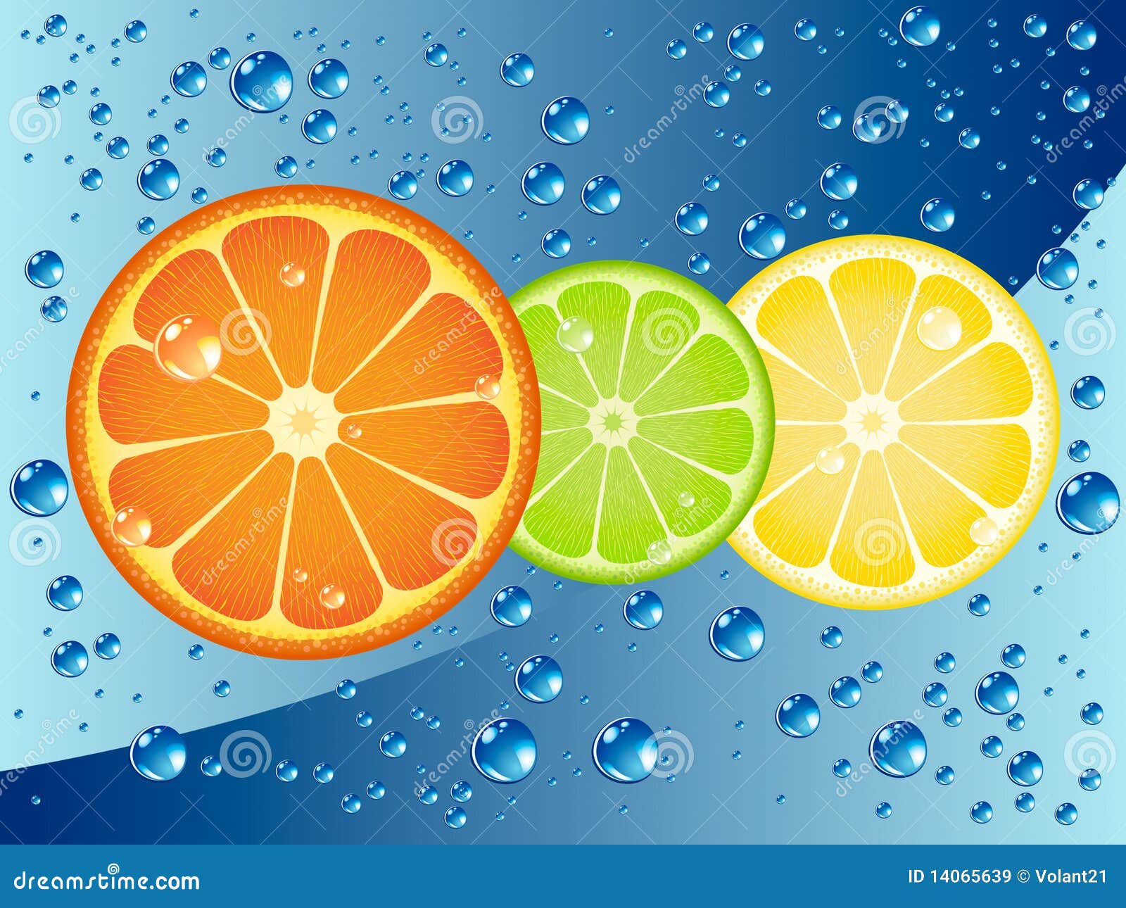 Citrus Fruit Growing Isolated Cartoon Vector Illustrations ...