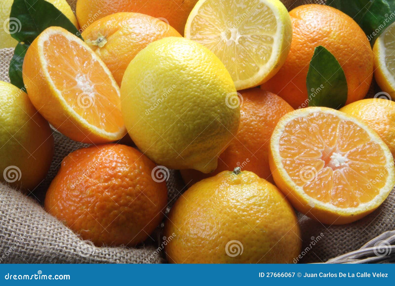 Citrus fruit variety stock image. Image of variety, lemon - 27666067