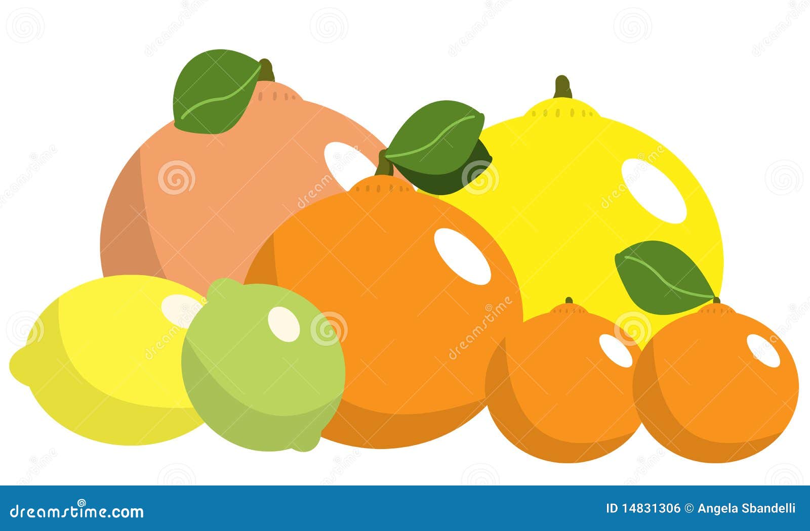 Citrus fruits stock illustration. Illustration of cartoon - 14831306