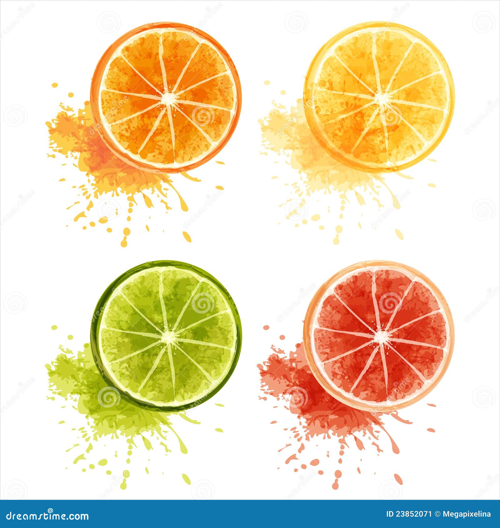Citrus Fruits Characters Vector Doodle Drawing | CartoonDealer.com ...