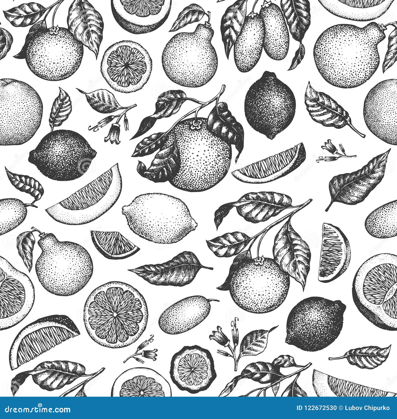 Citrus Fruits Seamless Pattern. Hand Drawn Vector Fruit Illustration ... Citrus Fruits Seamless Pattern. Hand Drawn Vector Fruit Illustration ...