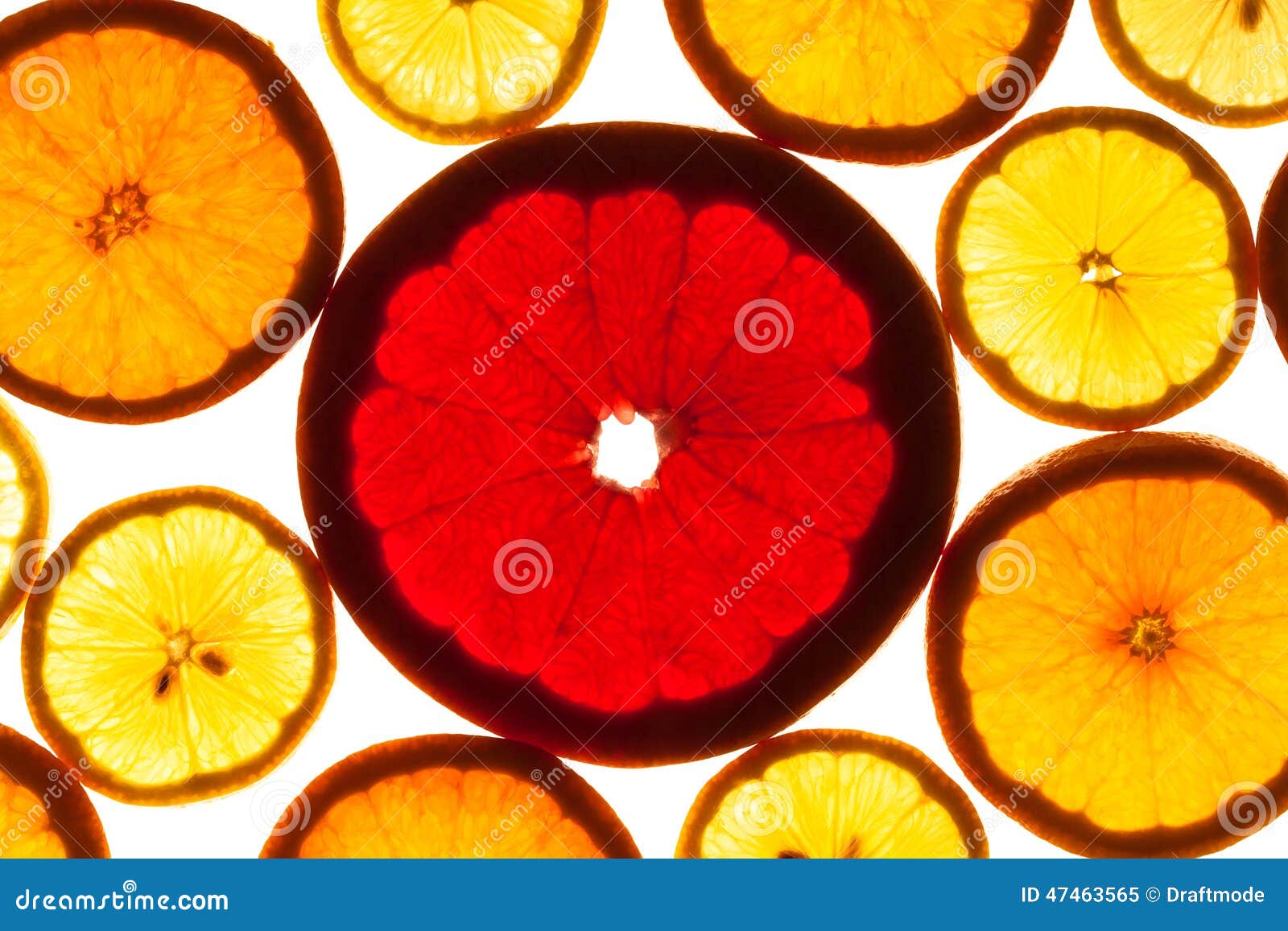 Citrus fruits stock image. Image of circle, multi, closeup - 47463565