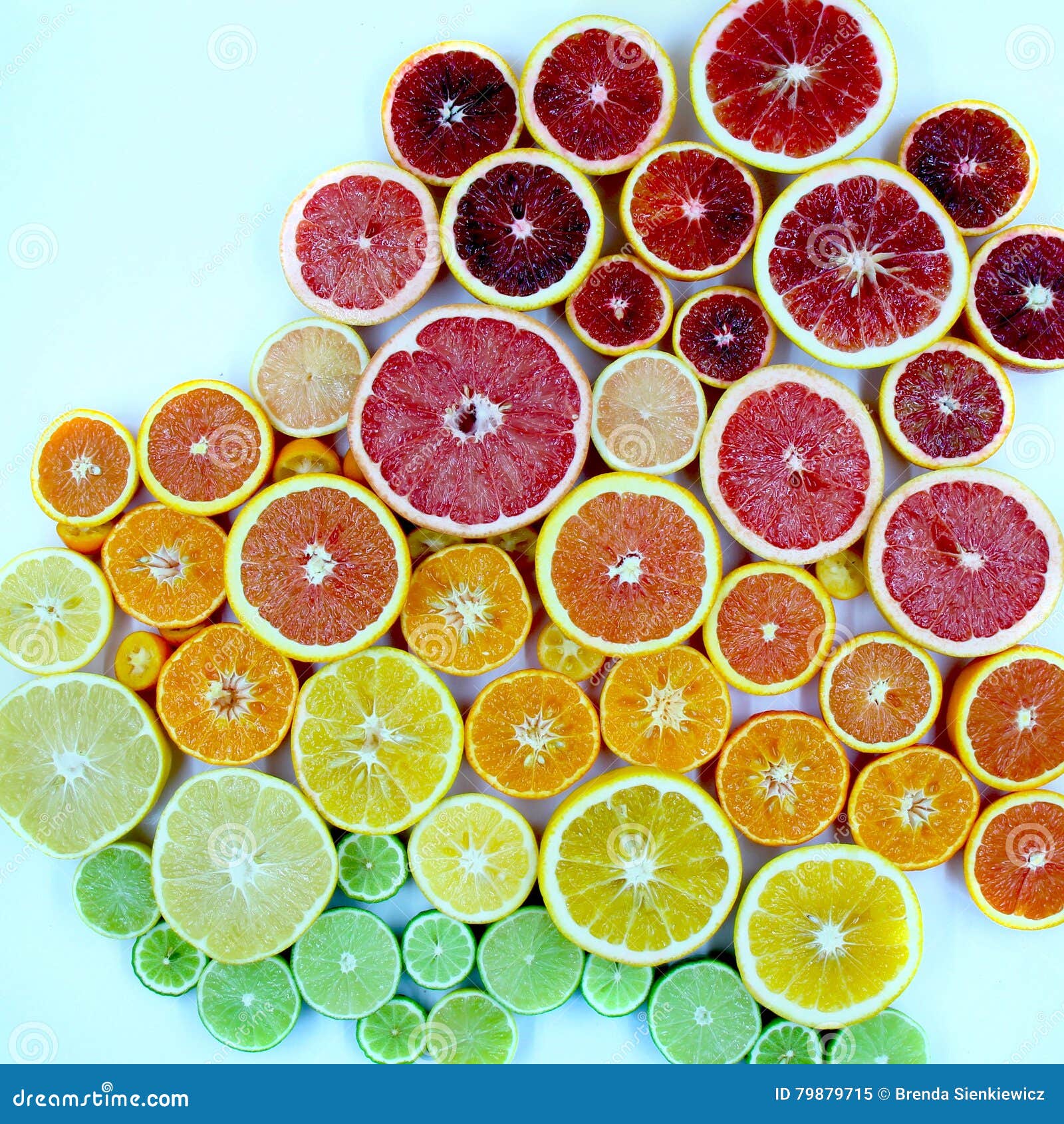 Citrus gradient stock image. Image of gradient, lines - 79879715