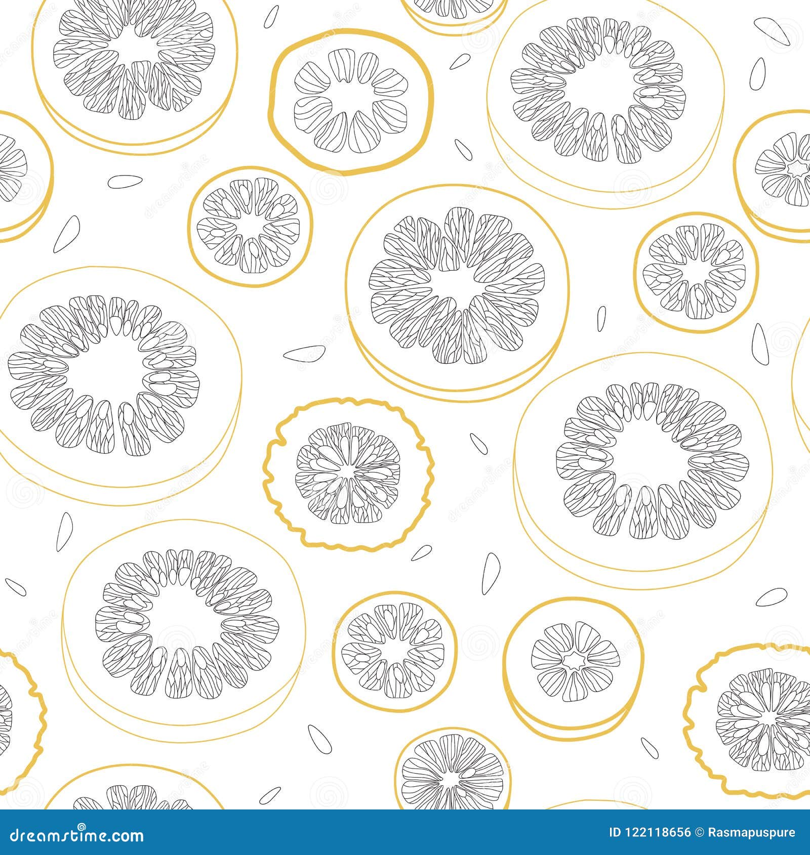 Citrus Graphic Pattern on White Background Stock Vector - Illustration ...