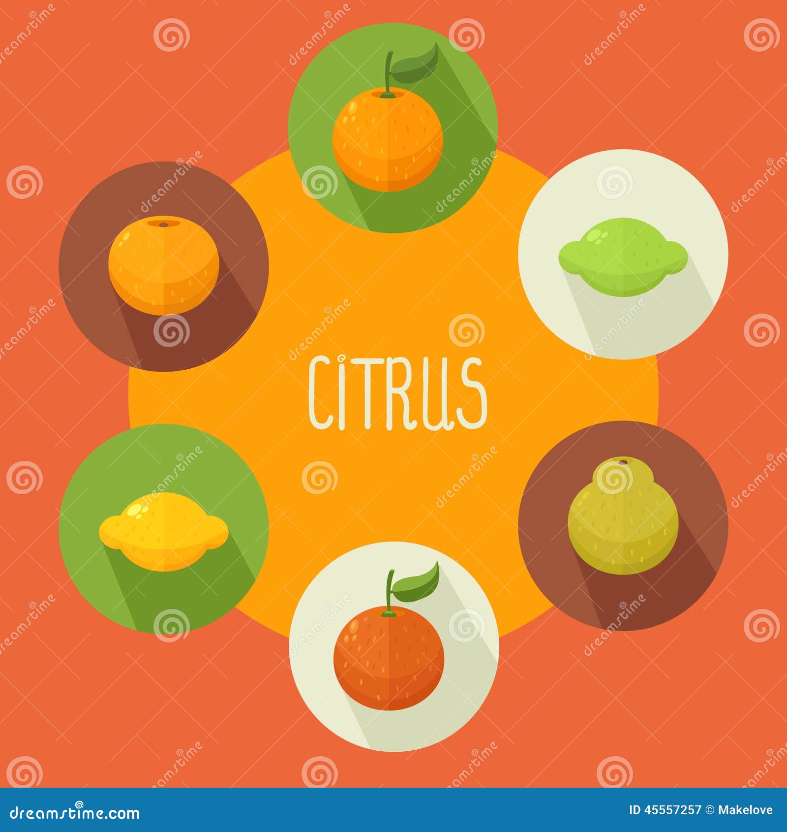 Citrus icons set stock vector. Illustration of card, flat - 45557257