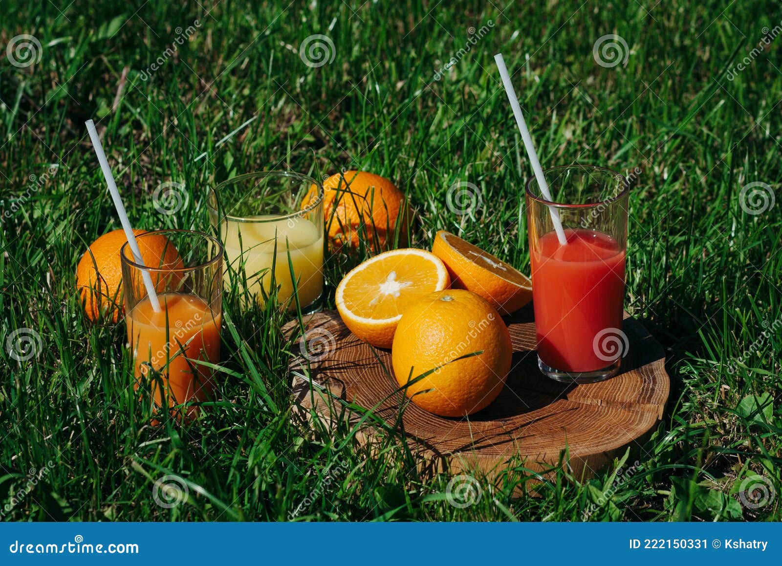 Citrus Juice and Oranges in the Grass Stock Image - Image of organic ...