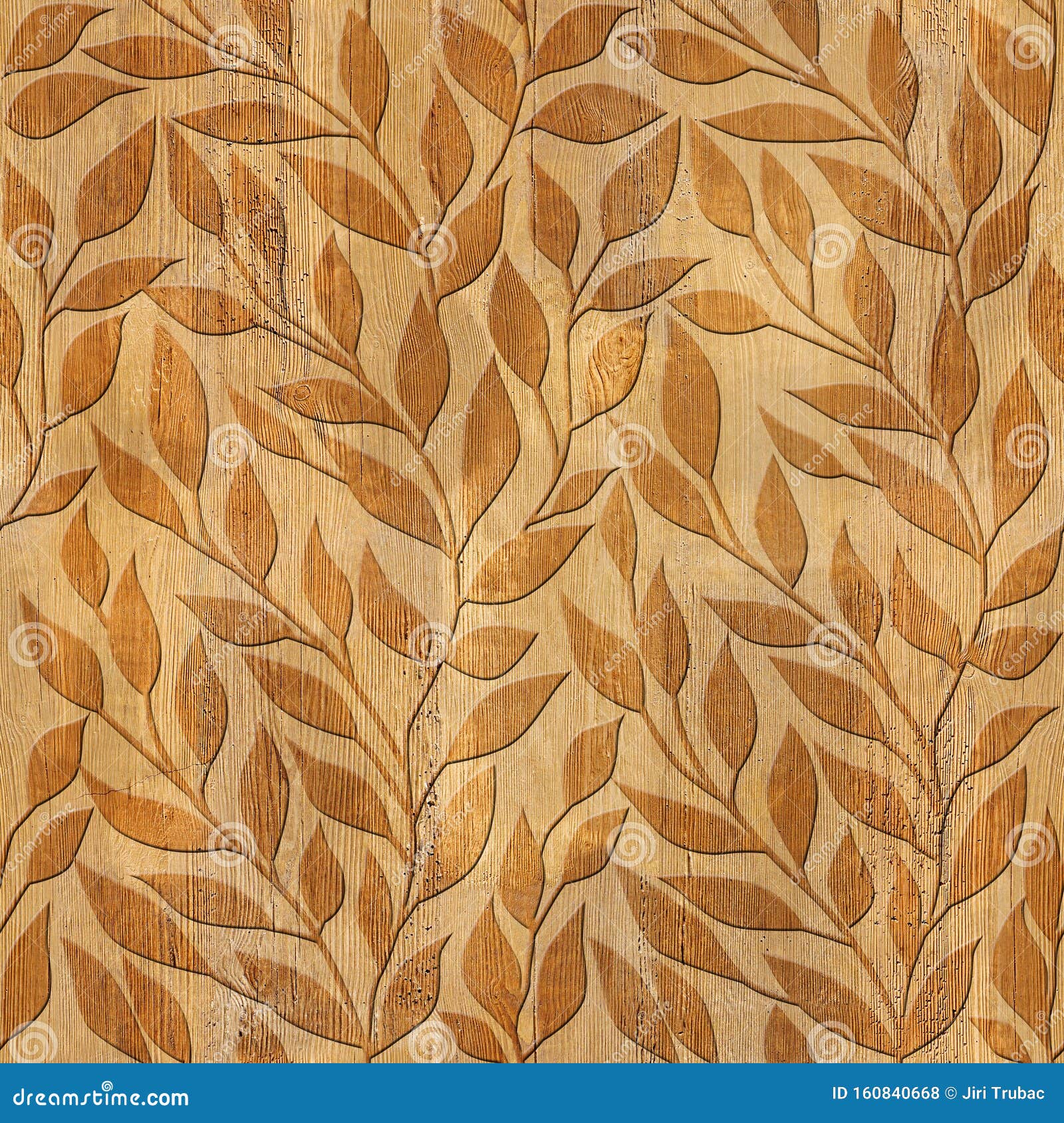 Citrus Leaves Isolated On A White Background Royalty-Free Stock ...