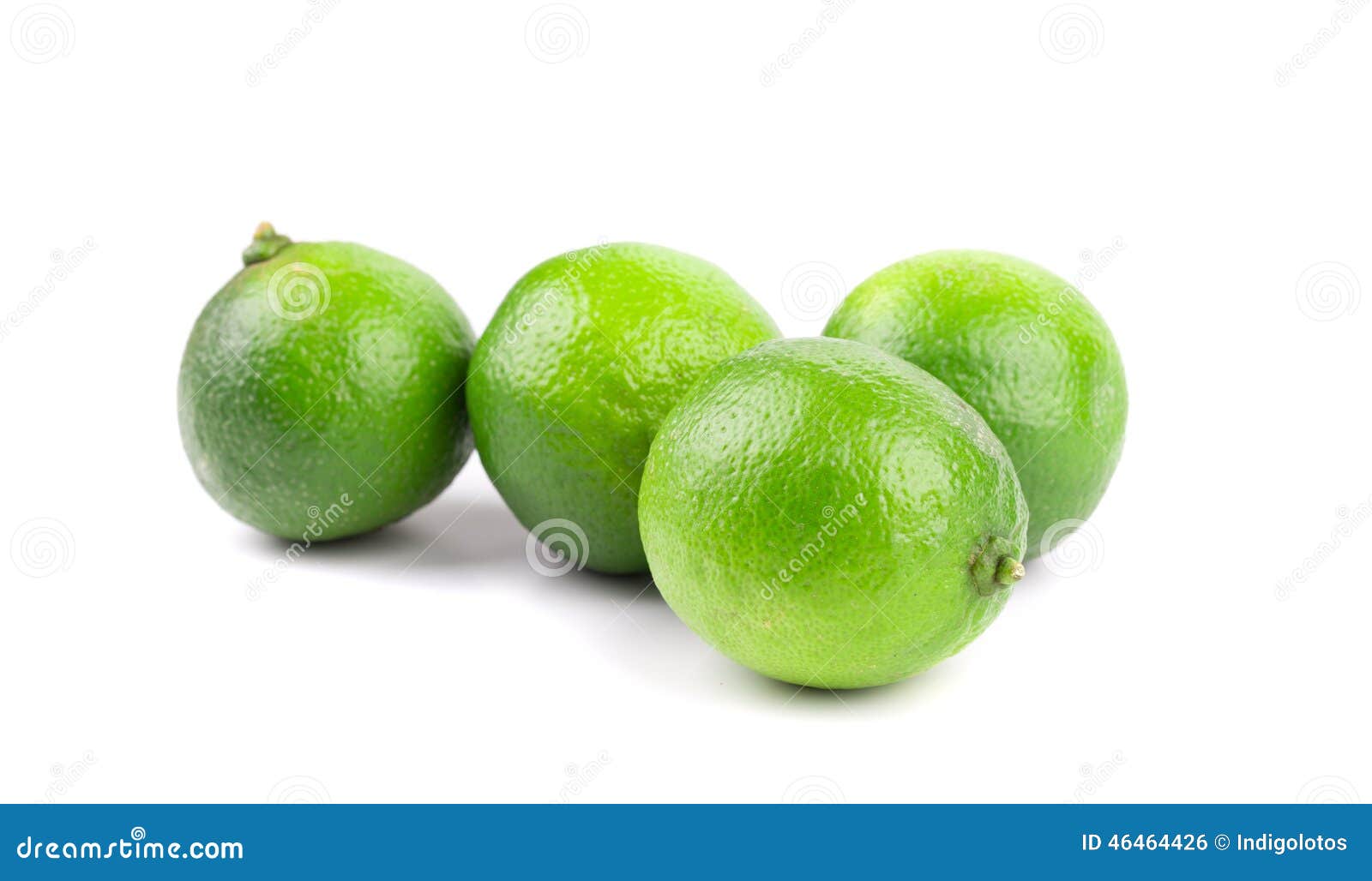 Citrus lime fruits stock photo. Image of closeup, cutout - 46464426