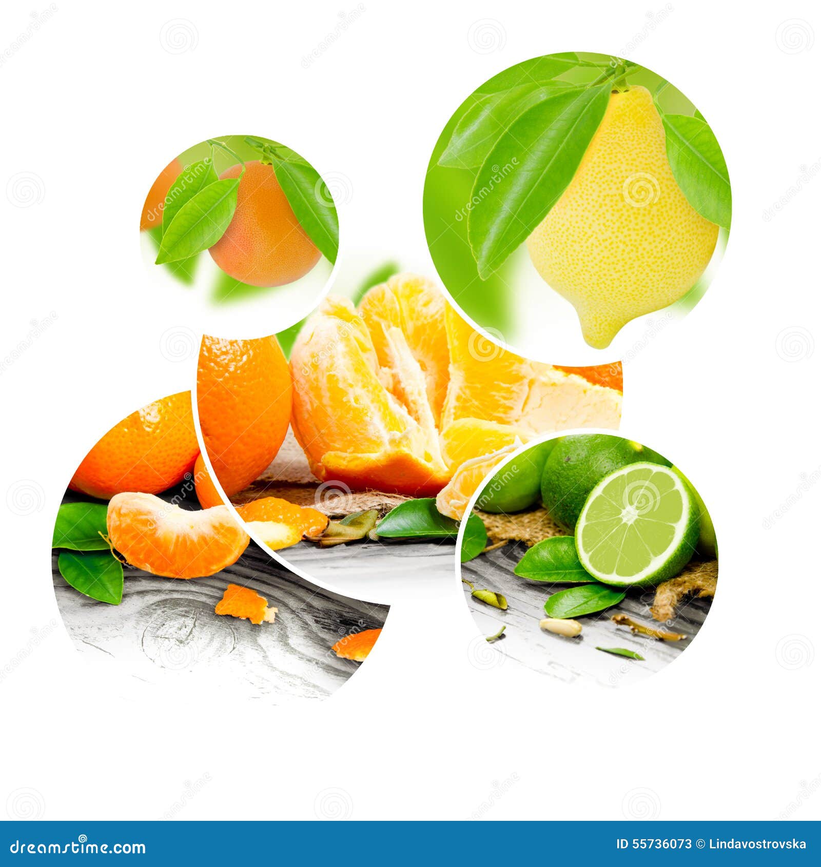 Citrus mix stock image. Image of group, lemon, citrus - 55736073