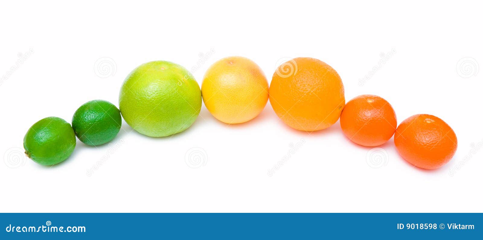 Citrus rainbow stock photo. Image of refreshing, healthy - 9018598