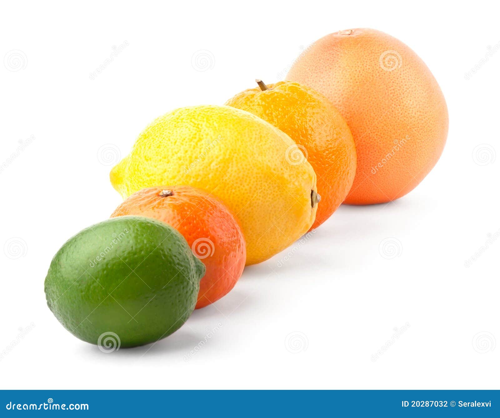 Citrus in row stock photo. Image of tasty, healthy, juicy - 20287032